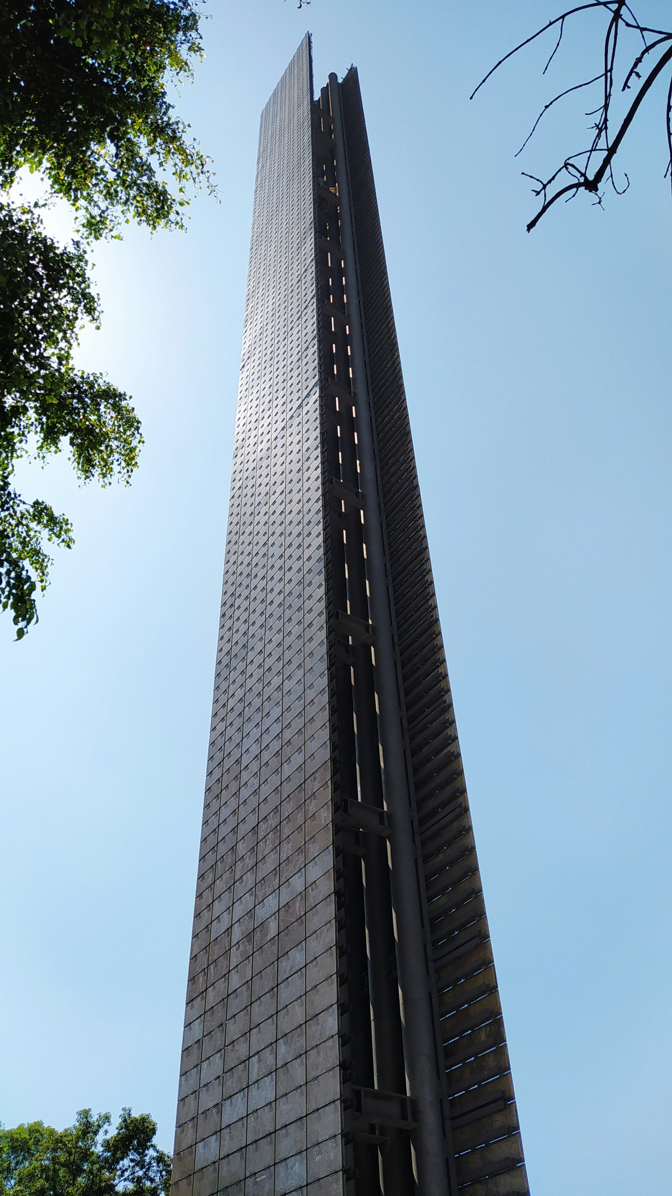 A towering concrete structure reaching into the blue sky, framed by lush green foliage.