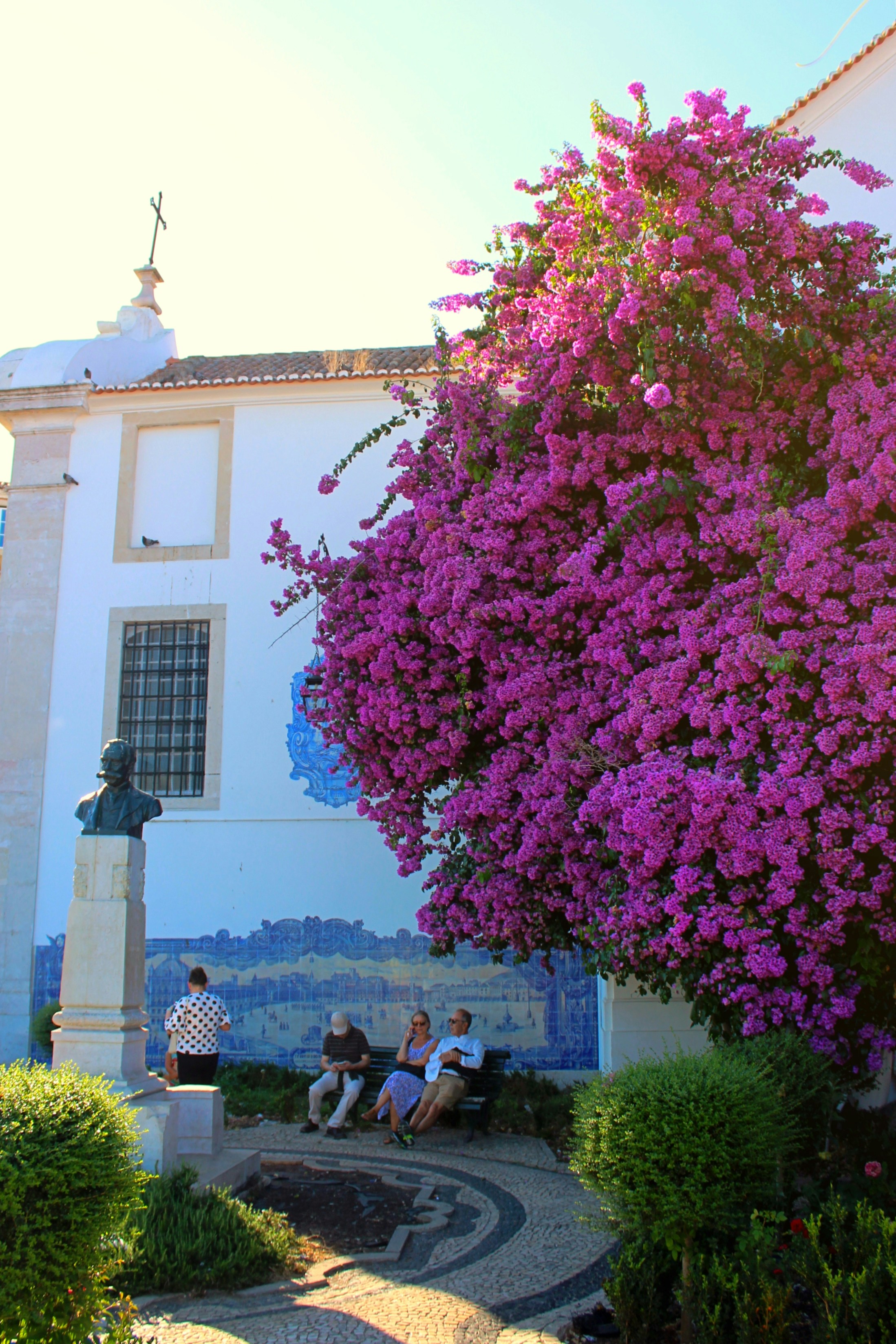 Magenta Bougainvillea Crown Over a Sunlit Plaza