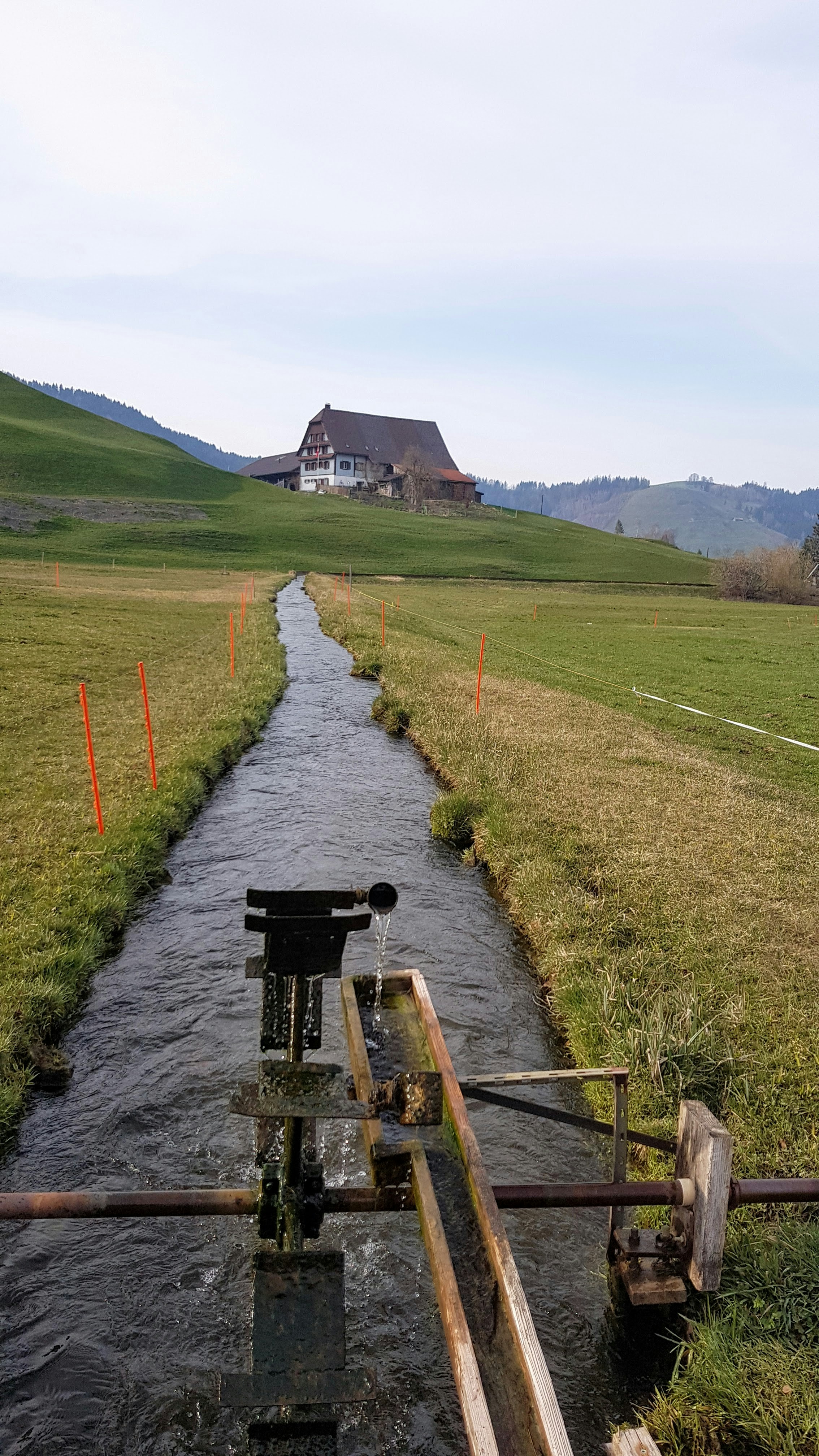 A Narrow Channel to a Mountain Farm