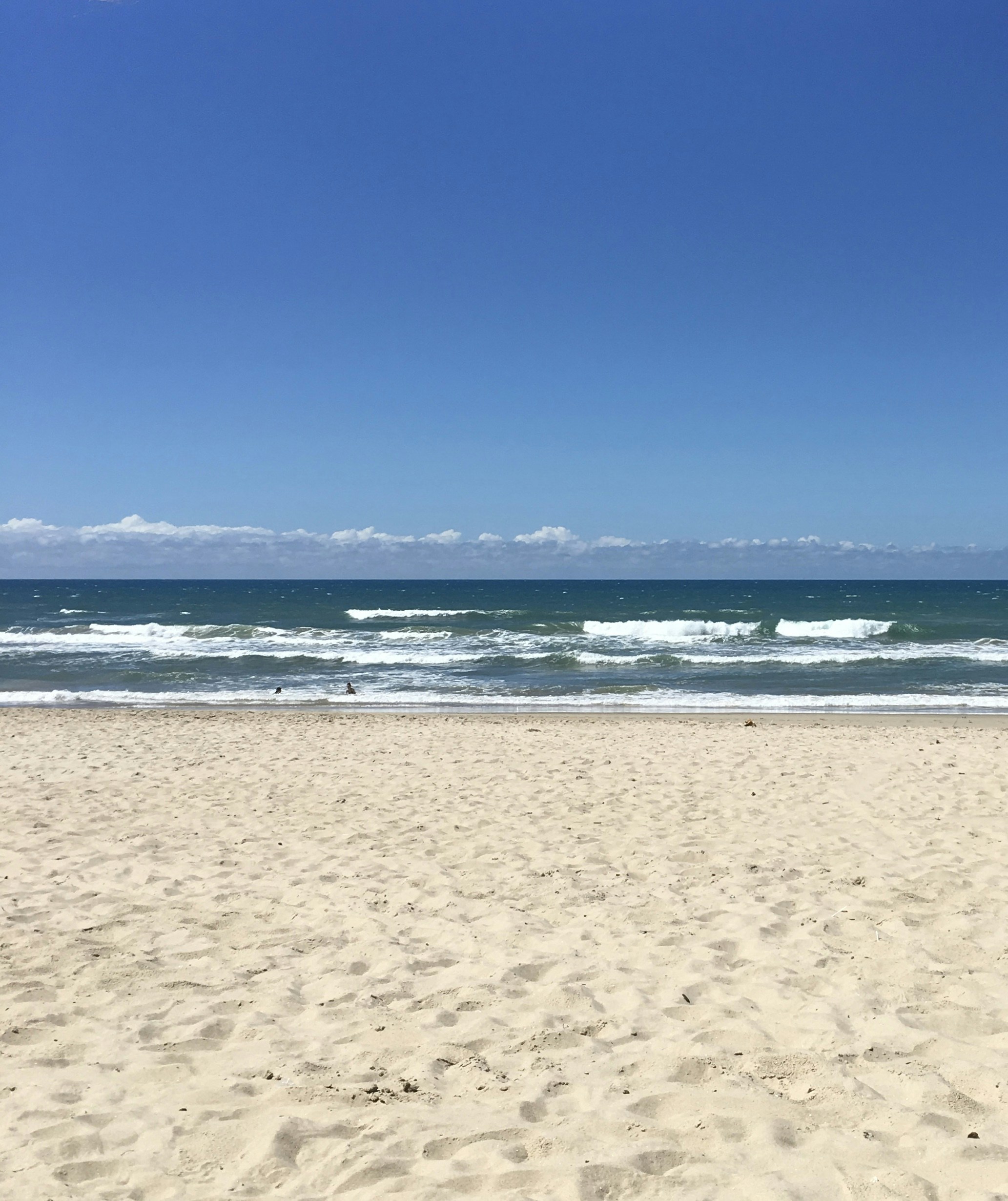 Lucas (@lucas023) | Unsplash Photo Community