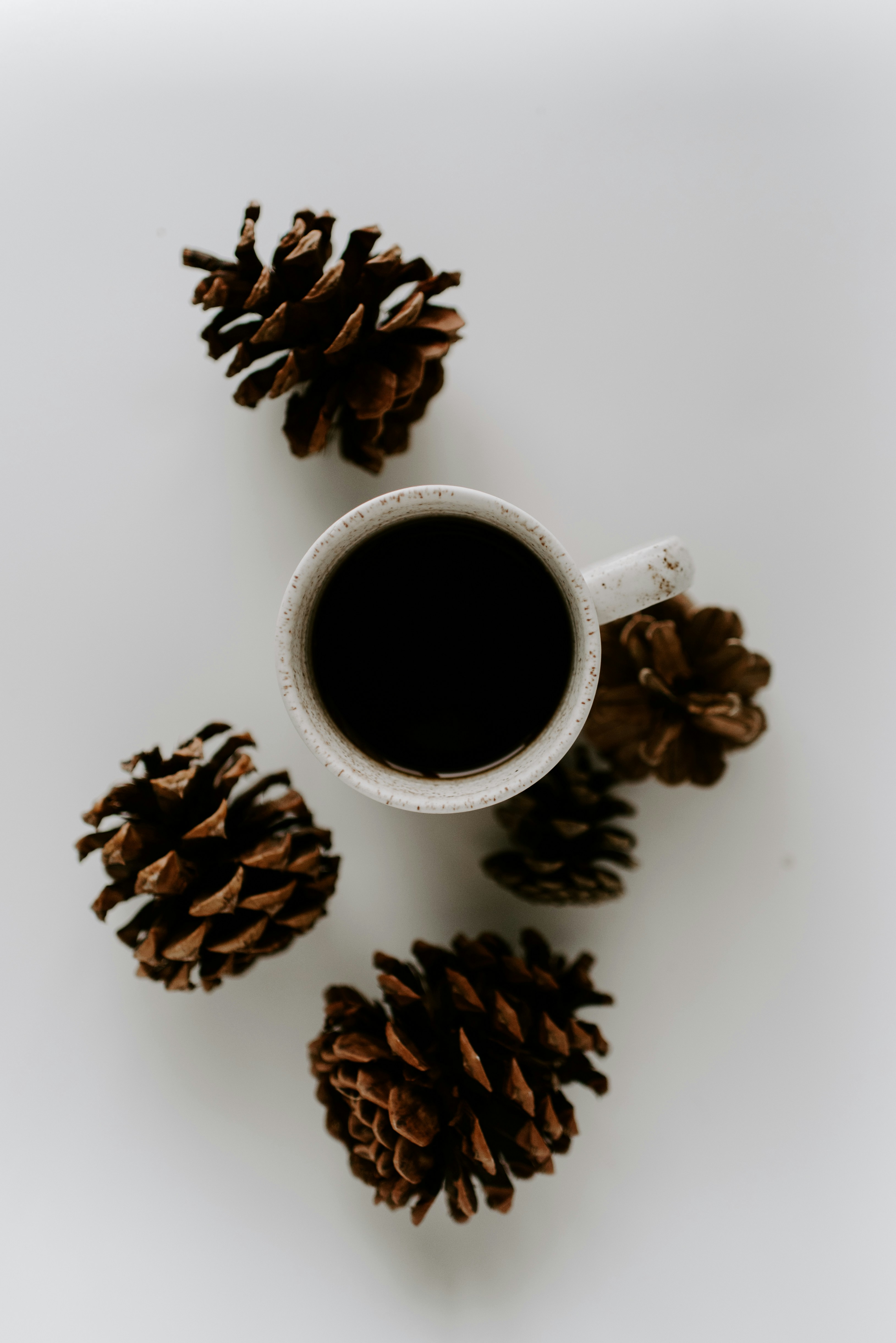 Minimalist Coffee Still Life: White Cup Anchored by Pine Cones