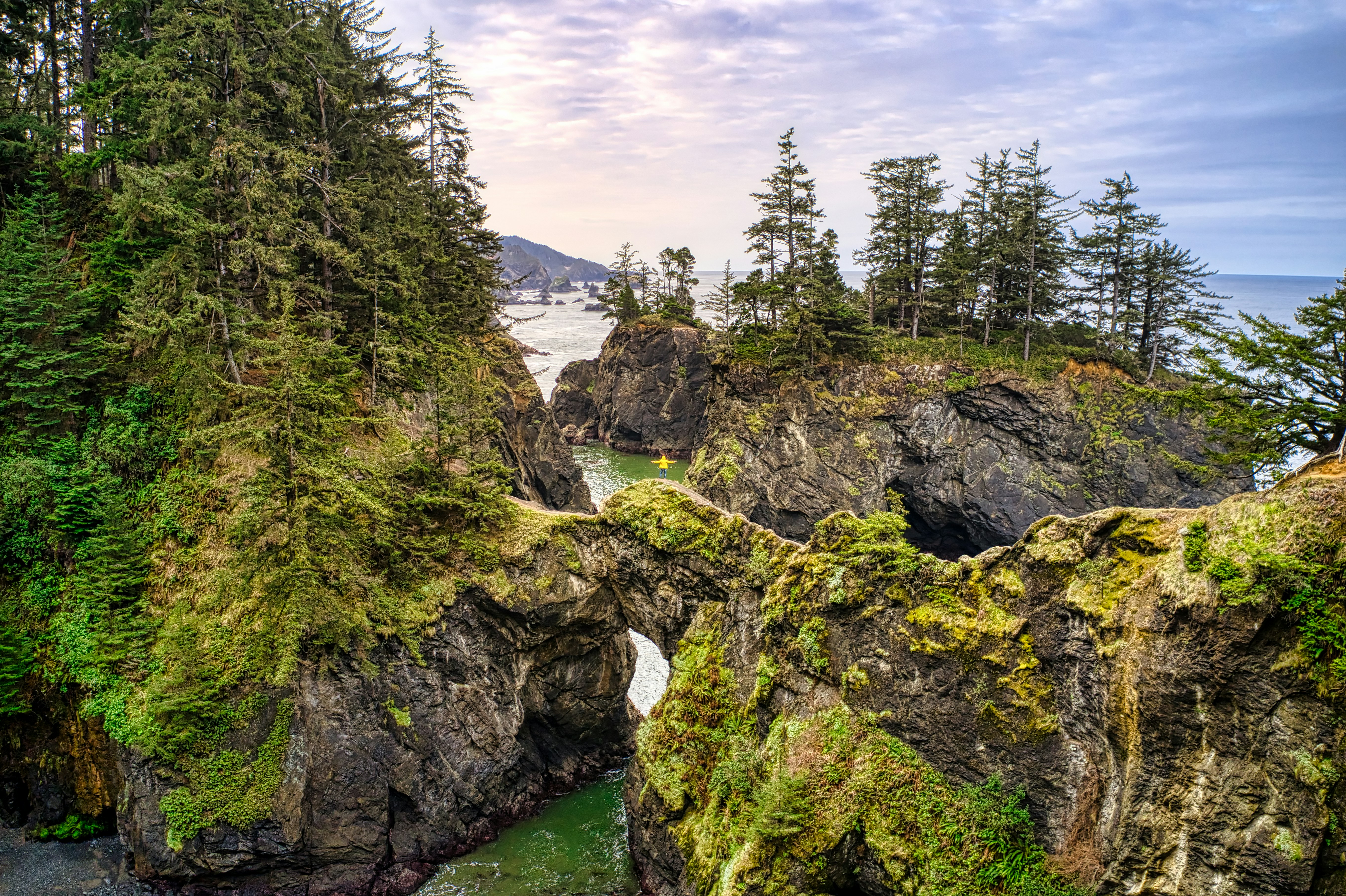 Rocky natural bridge surrounded by lush evergreens on the Oregon coast under a pastel sky.