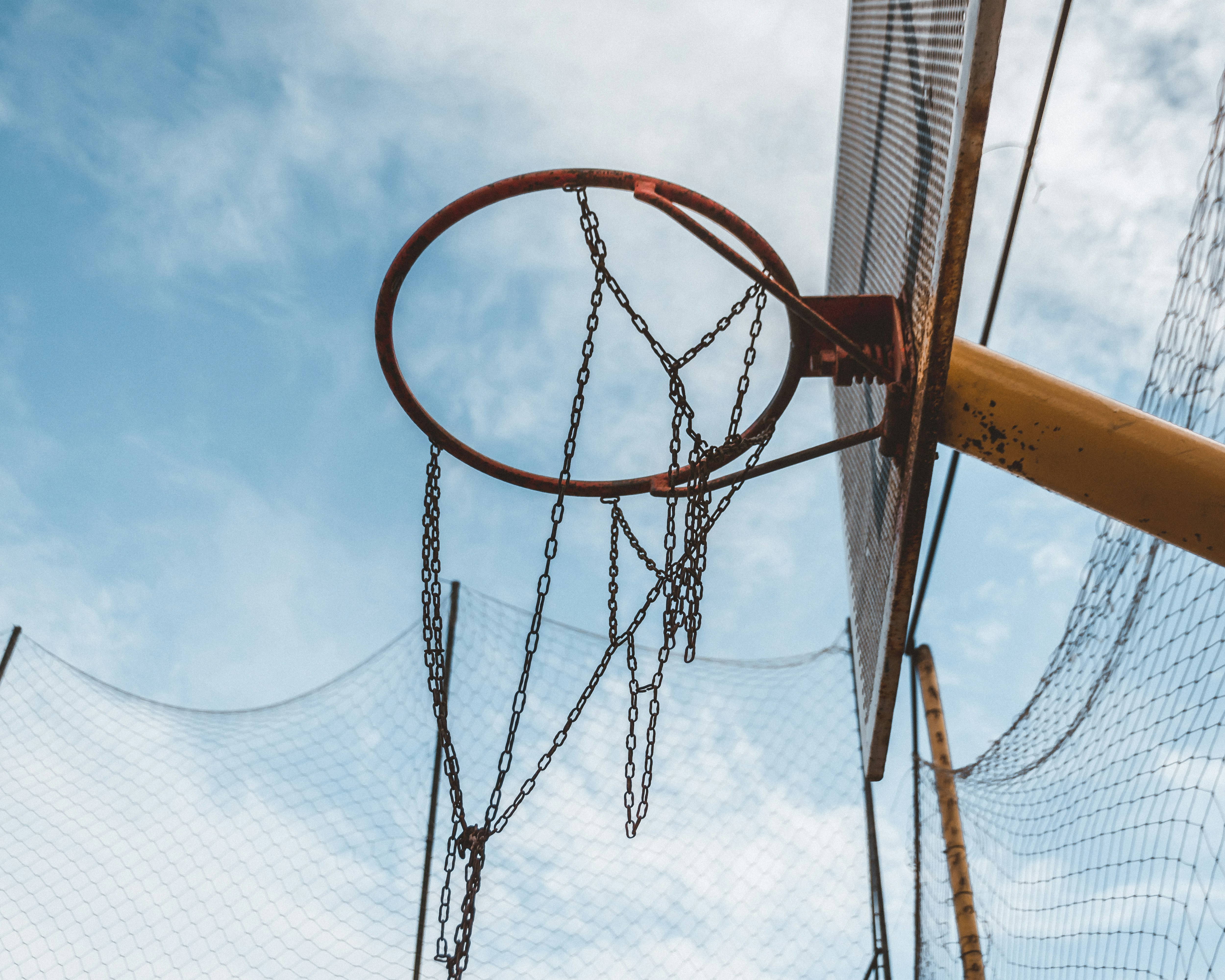 Brown basketball hoop under blue sky photo – Free Animal Image on Unsplash