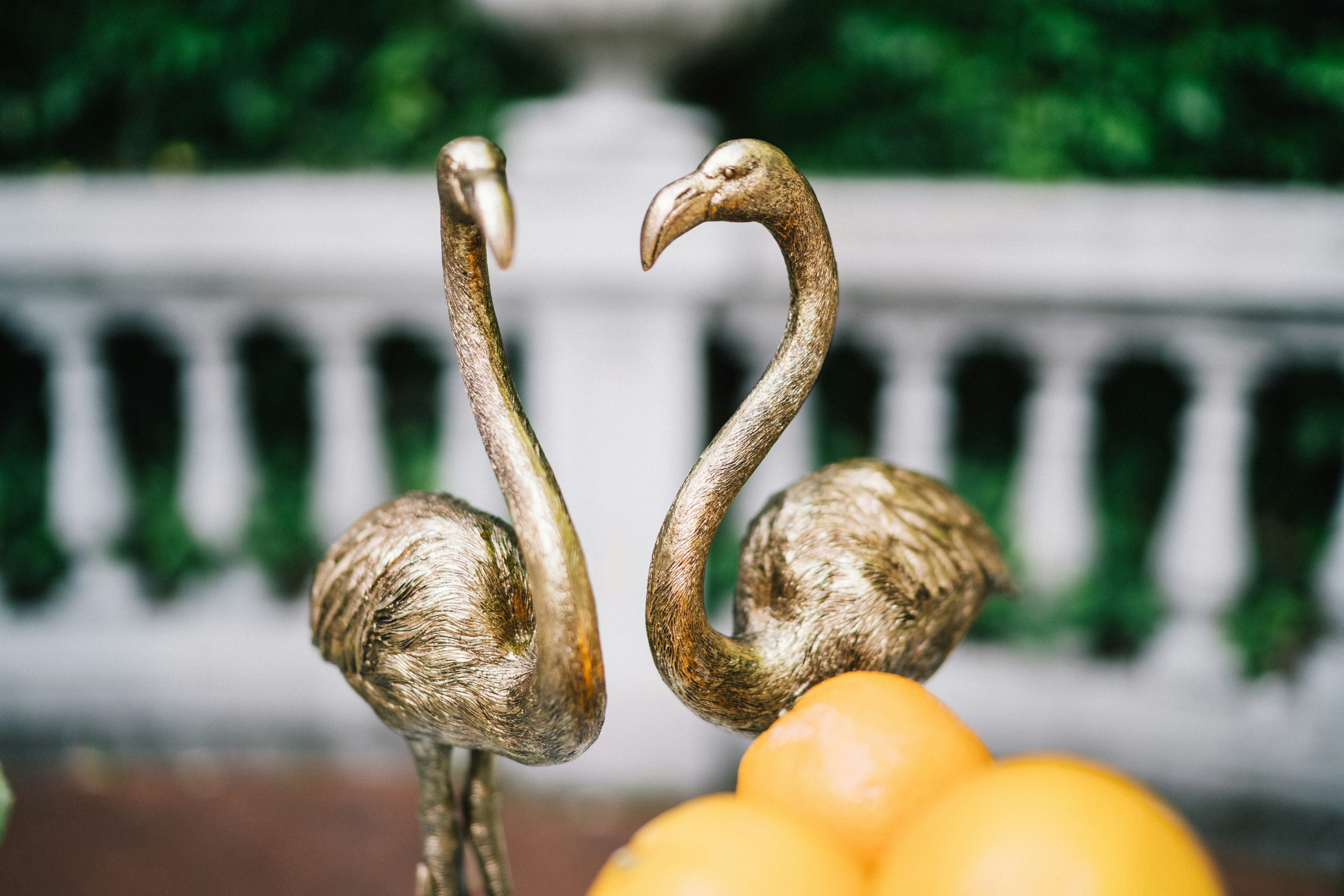 Golden Flamingos Guard the Citrus Crown