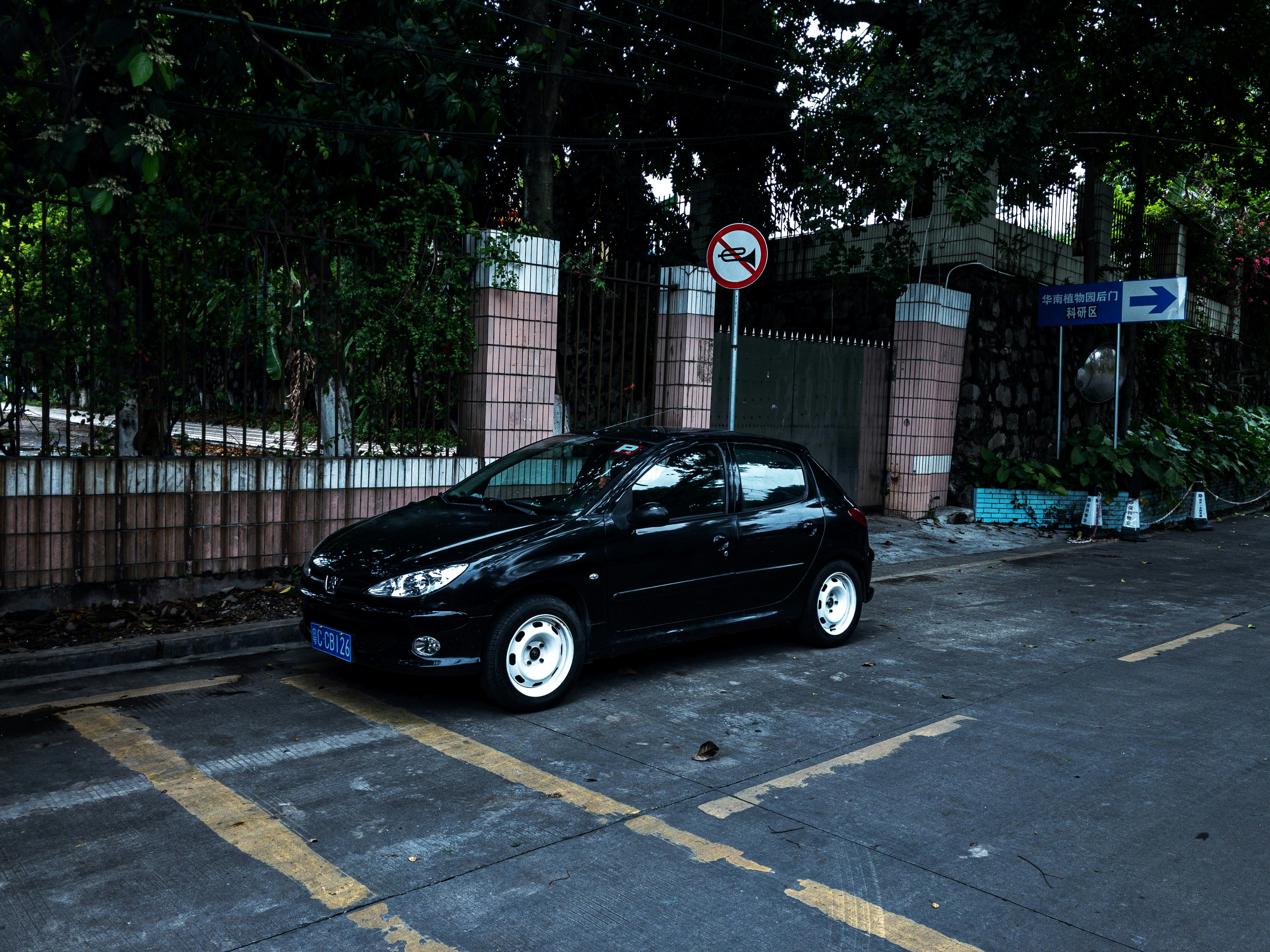 A sleek black hatchback parked beside a lush green backdrop in an urban setting, showcasing its stylish design against the cityscape.