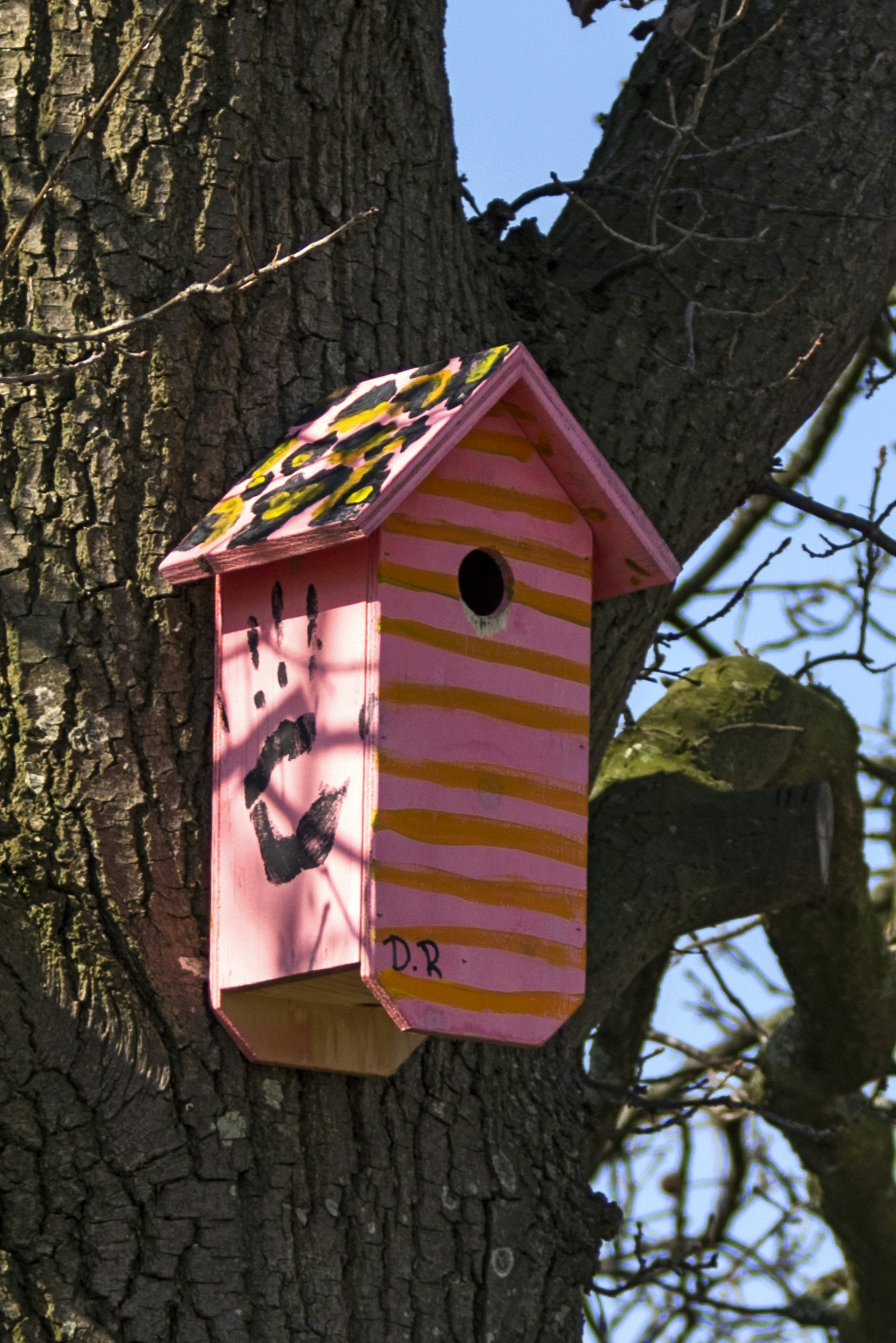 Pink Birdhouse on a Trunk: A Cheerful Nest Painted in Striped Sunset