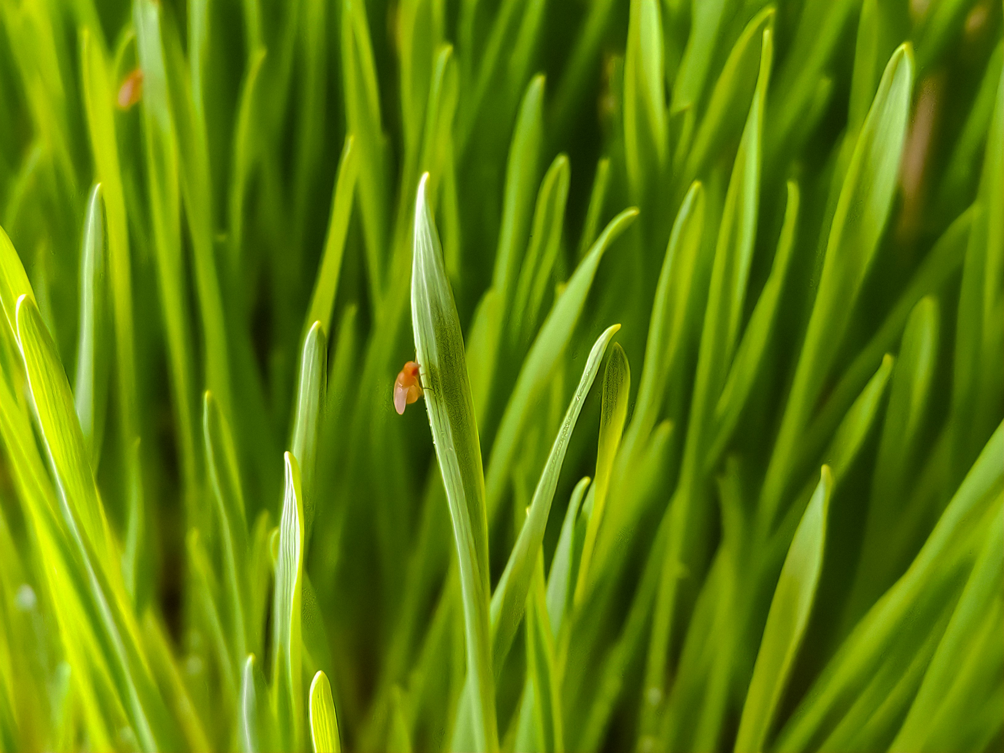 Ben (@gudguyben) | Comunidad de fotos de Unsplash