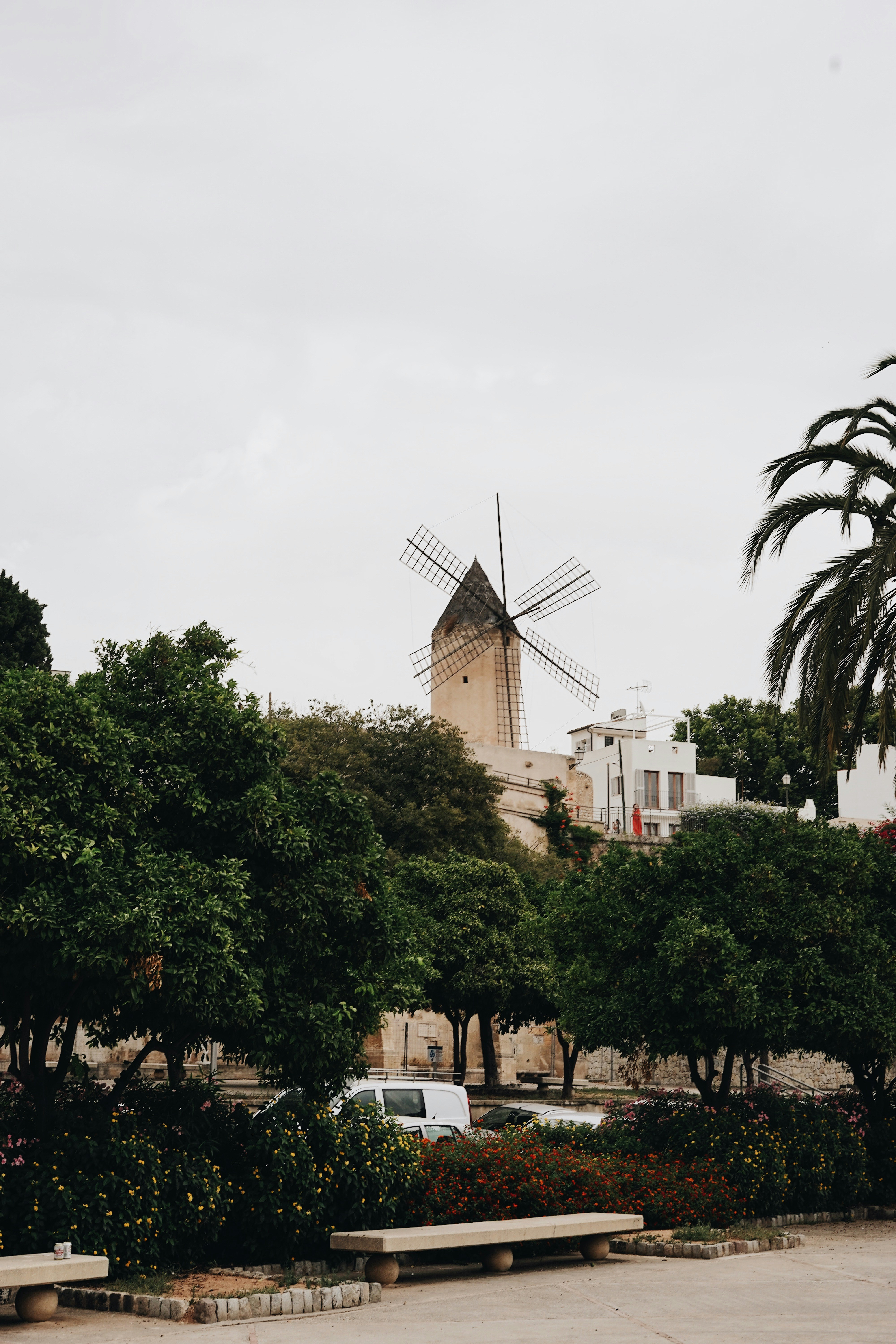 Windmill on a sunlit promenade framed by lush trees and a palm