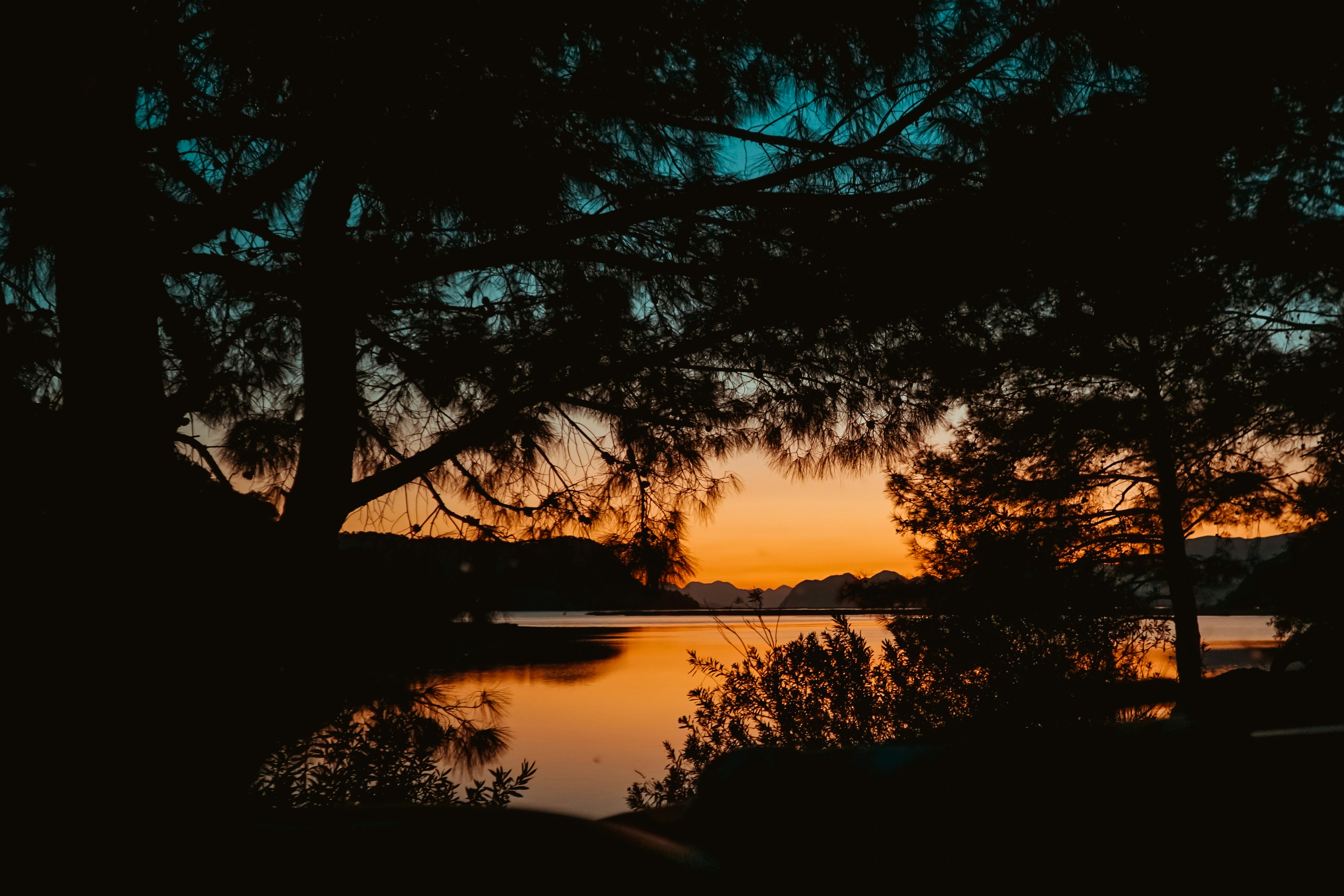 Silhouetted trees frame a serene lake at twilight, where vibrant hues of orange and blue merge in the sky's reflection on the water.