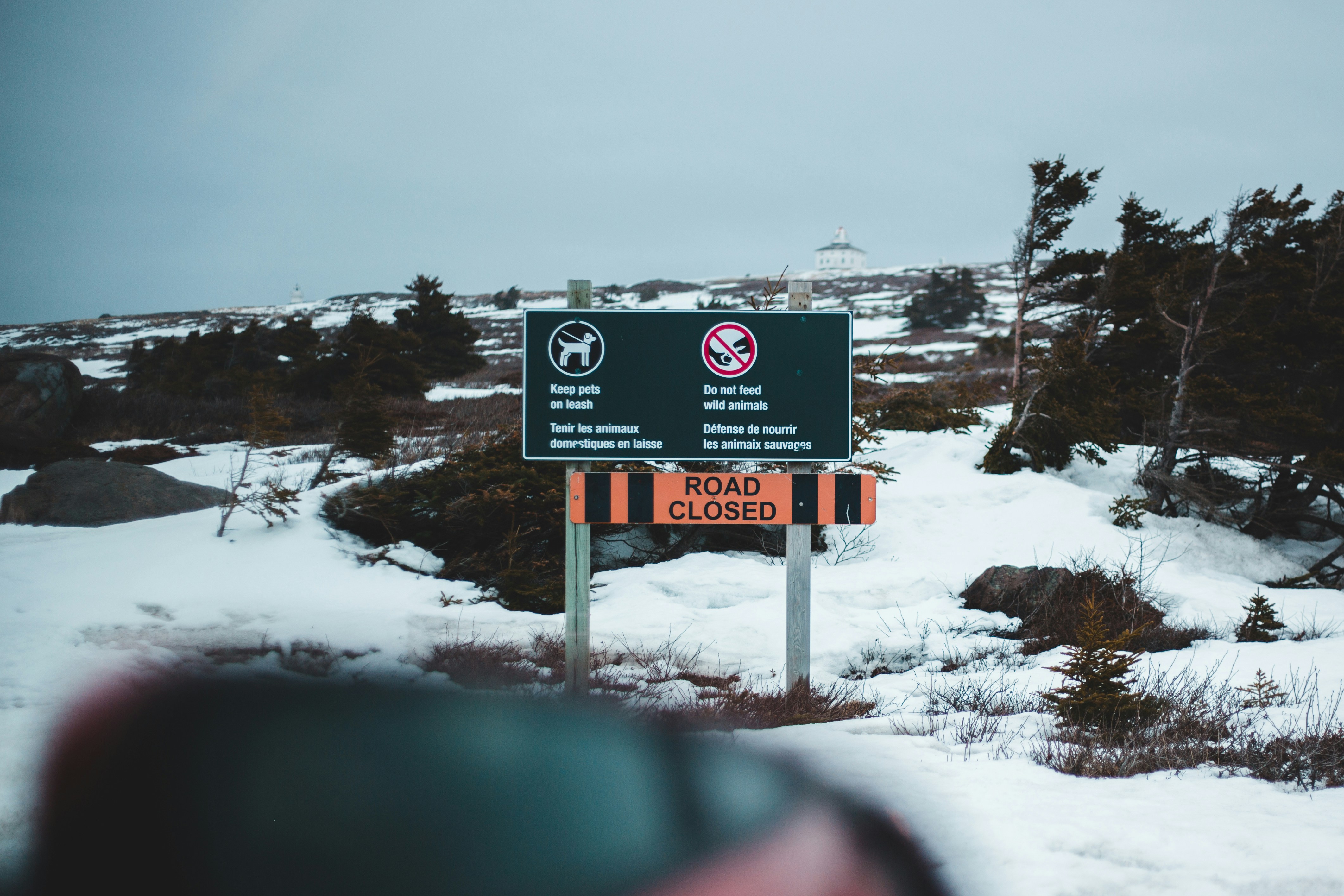 Black and white wooden signage on snow covered ground photo – Free ...