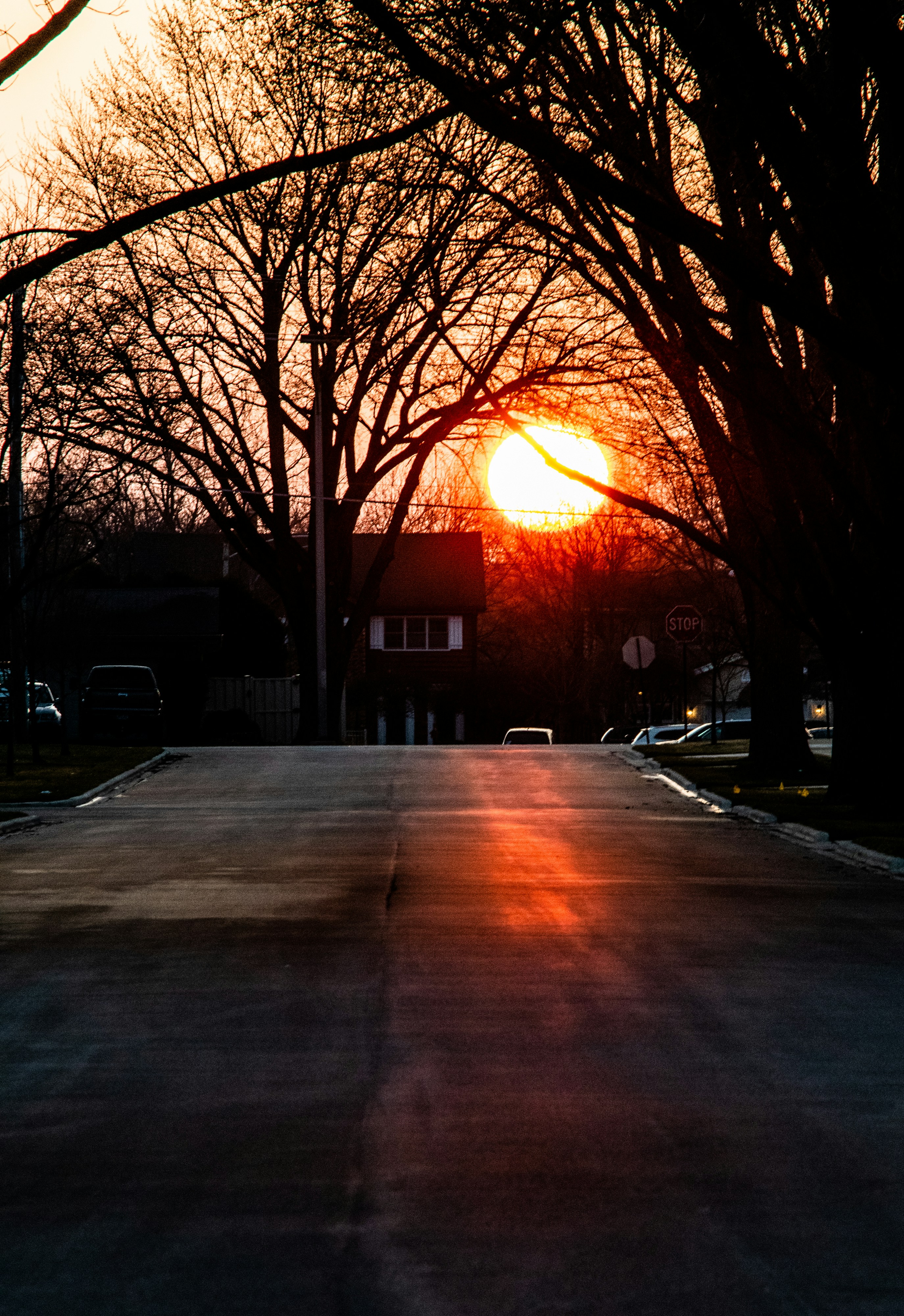 Sunset casting warm hues over a quiet street, framed by silhouetted trees. The scene captures the transition from day to night.