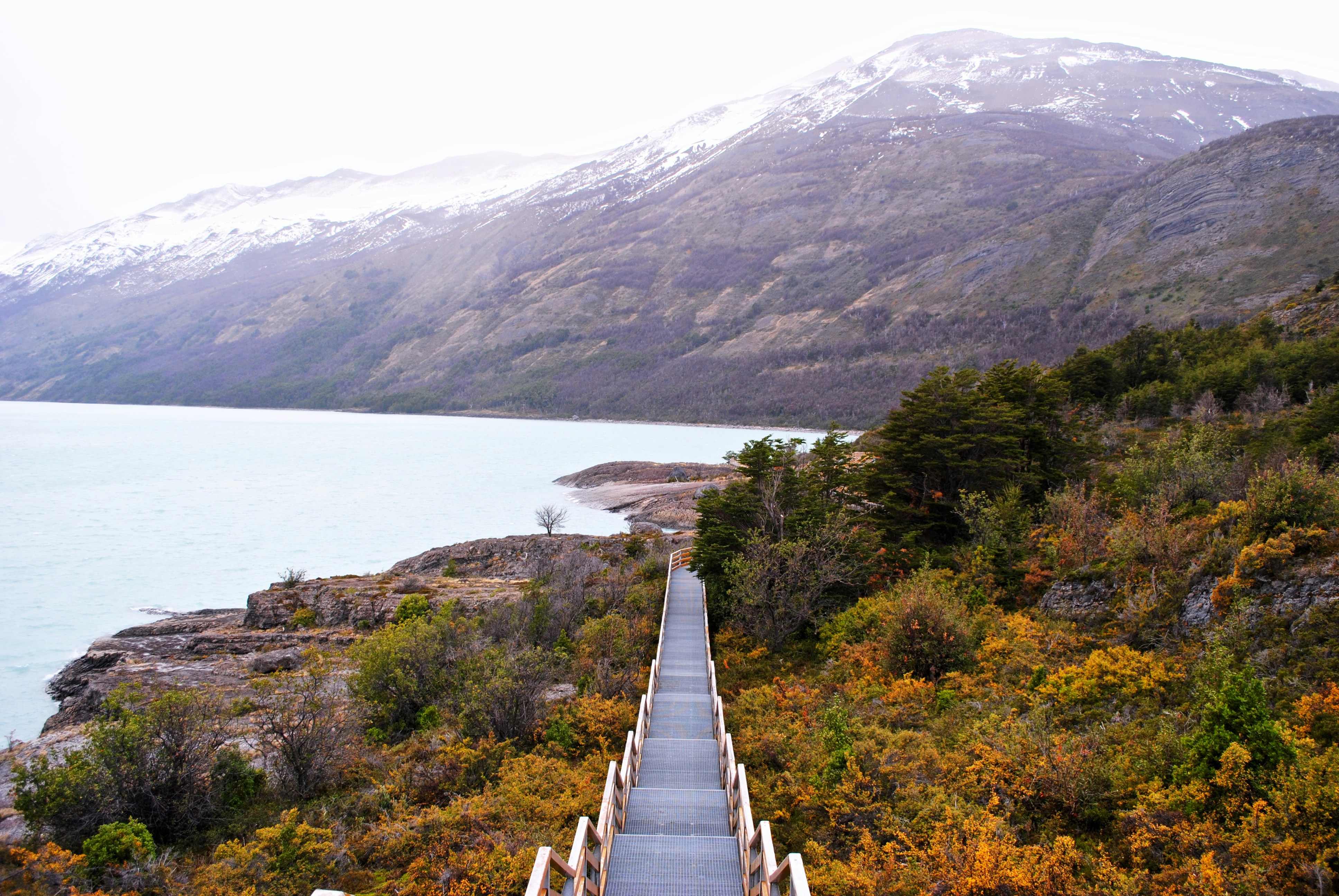 white wooden bridge on lake near green mountains during daytime