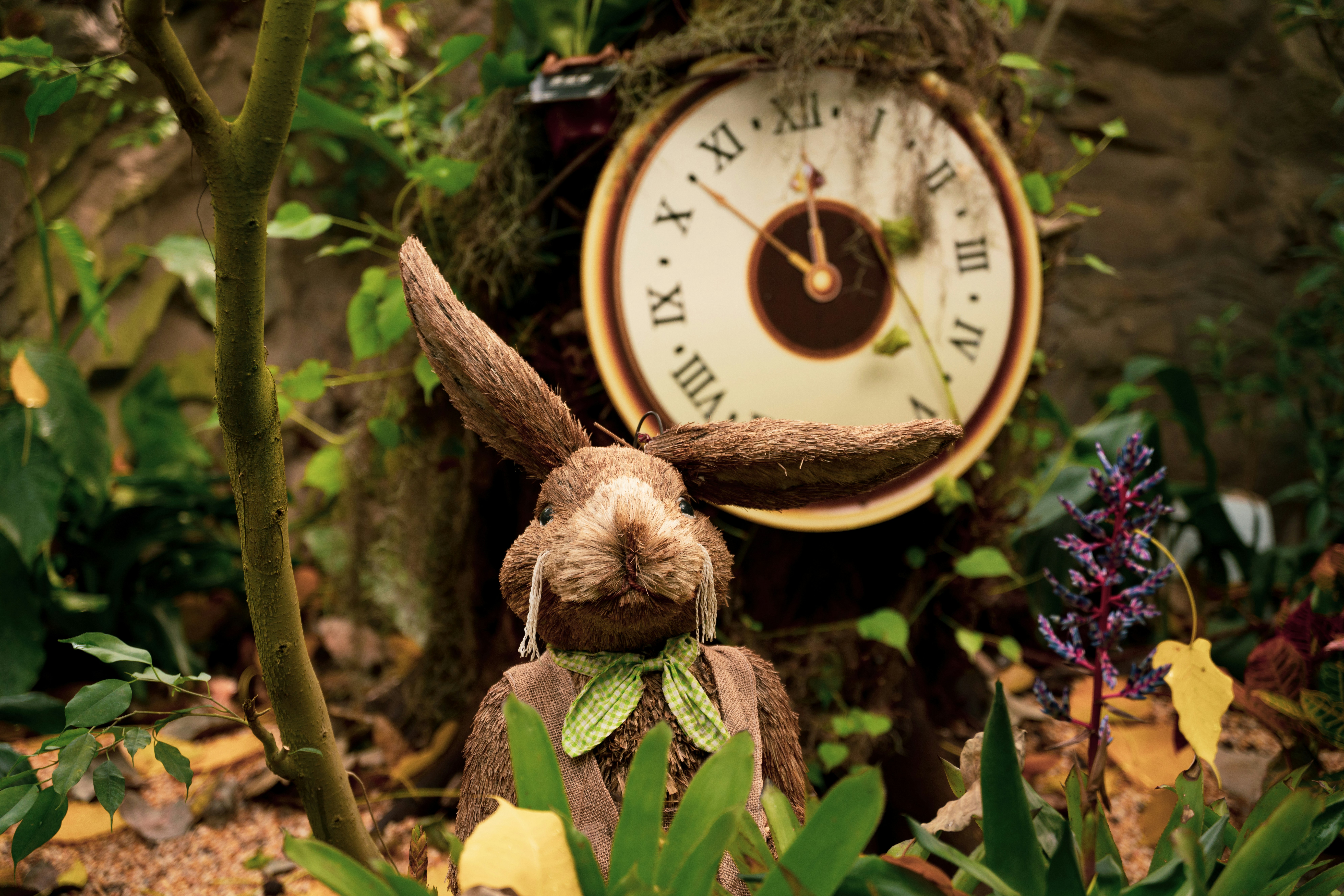 Timekeeper's Burrow: A Plush Observer Before the Circular Clock Garden