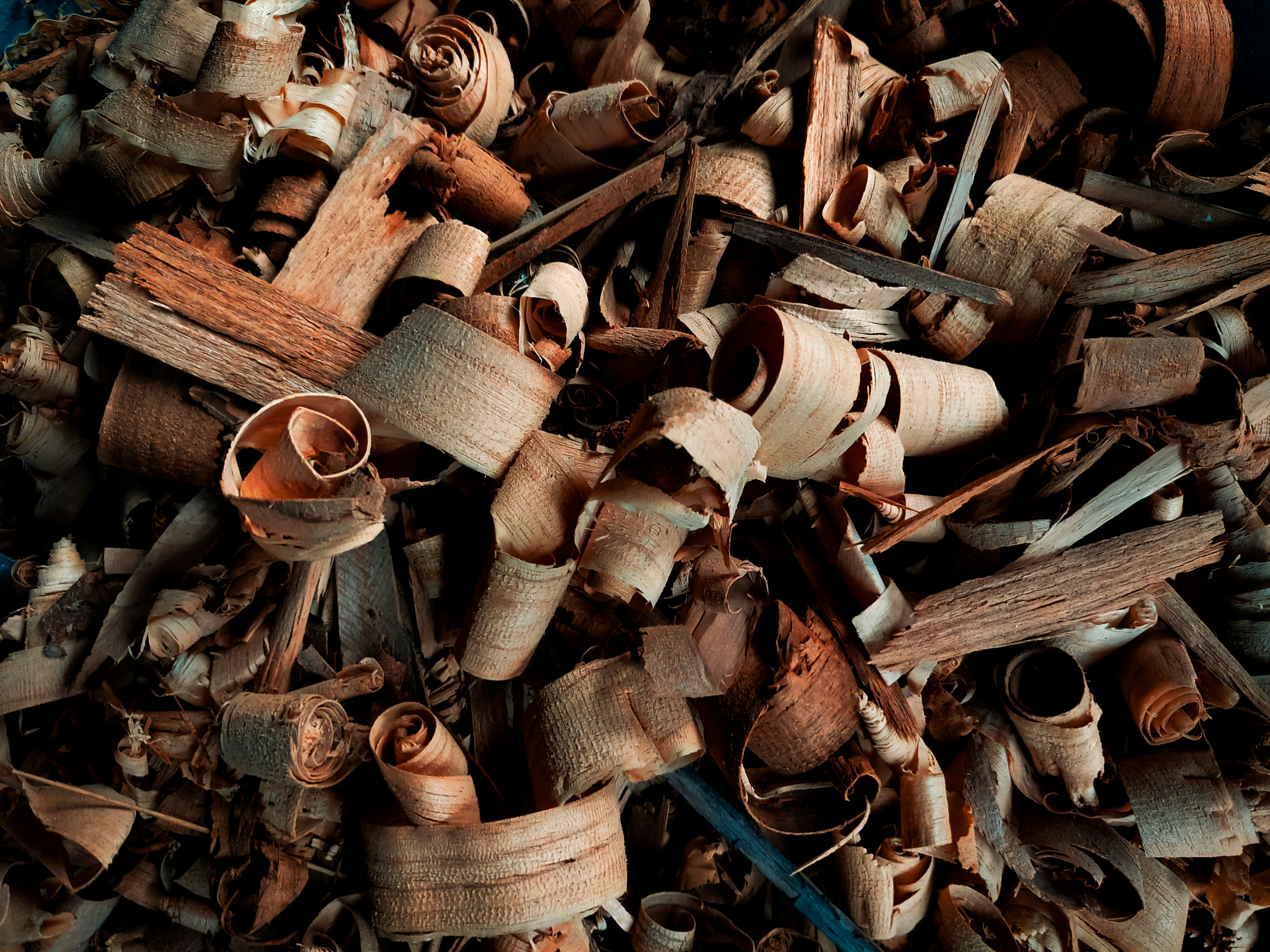 White and brown wooden sticks photo – Free Rust Image on Unsplash