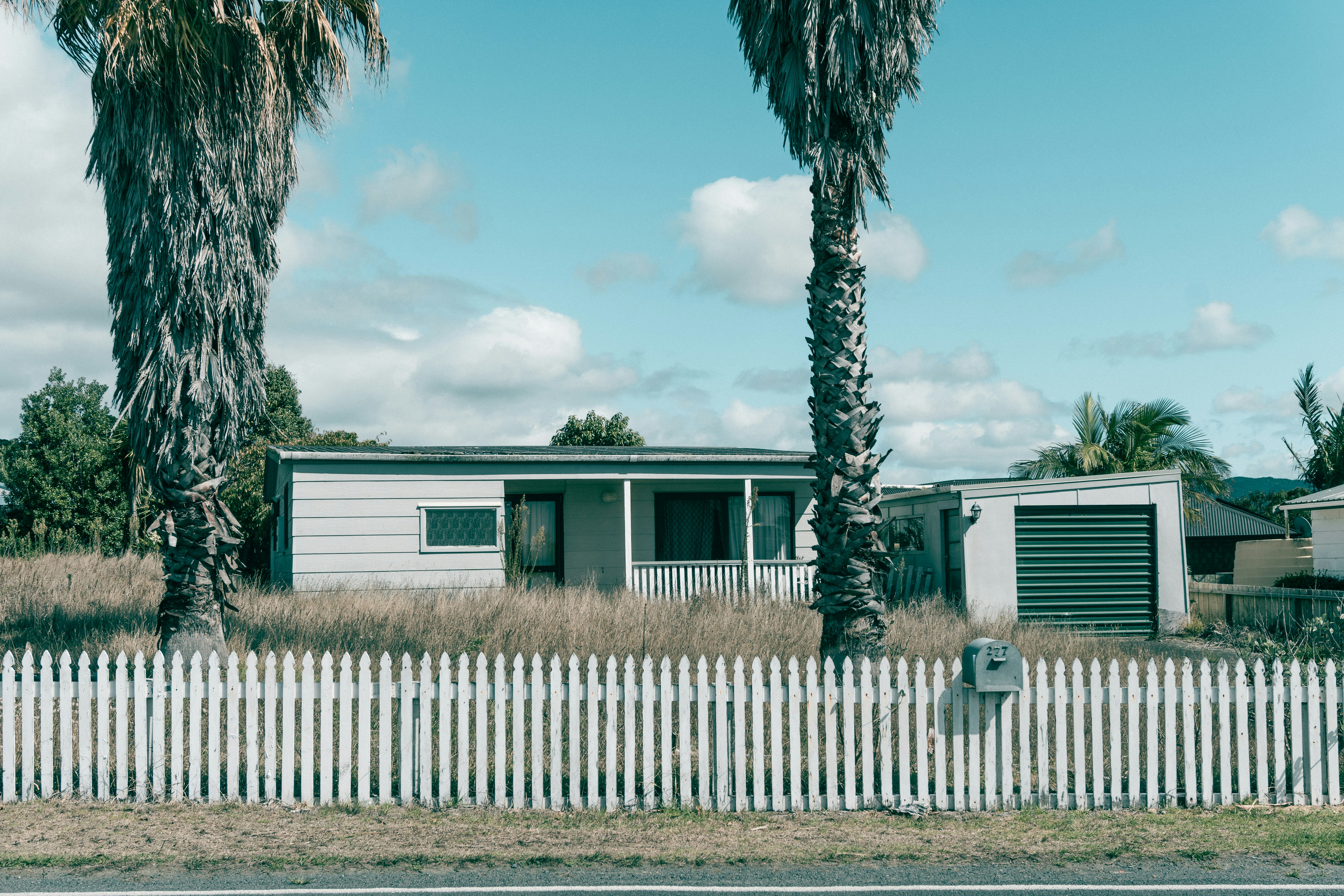 Abandoned house framed by tall palm trees, surrounded by overgrown grass and a white picket fence.