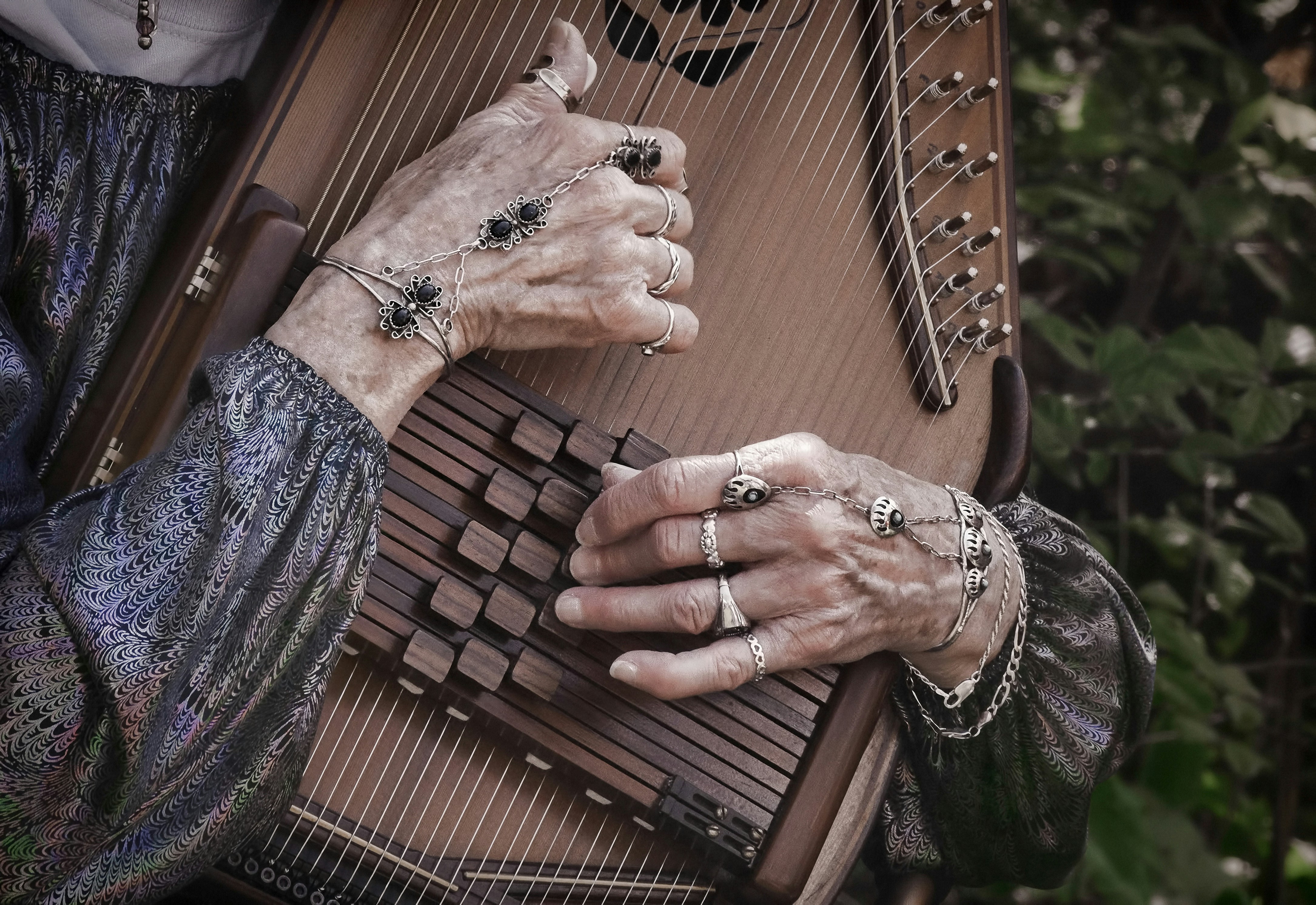 Close-up photograph of hands with multiple rings and bracelets strumming a wooden autoharp, with green foliage in the background.