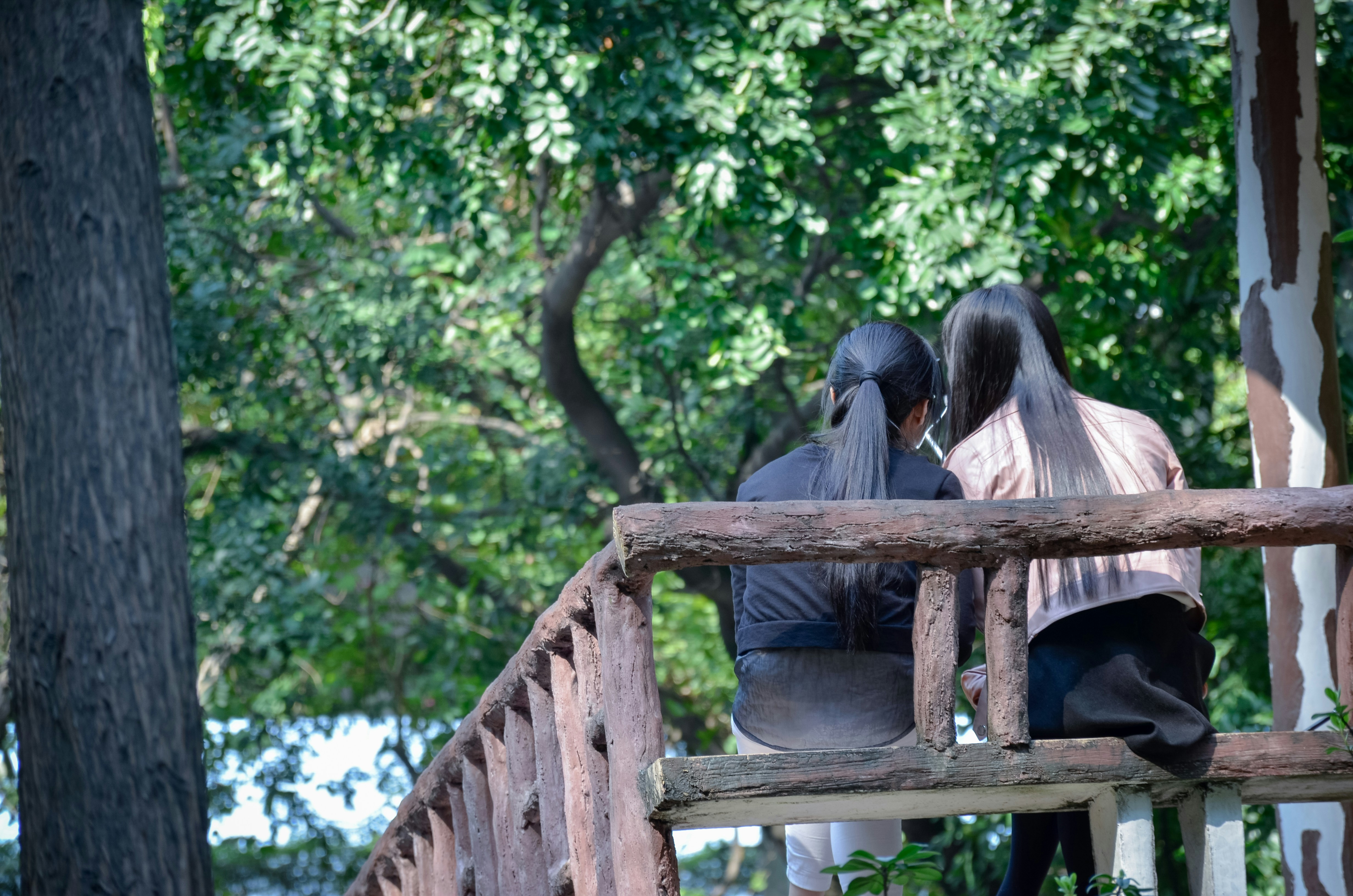 Quiet Confidences on a Forest Balcony