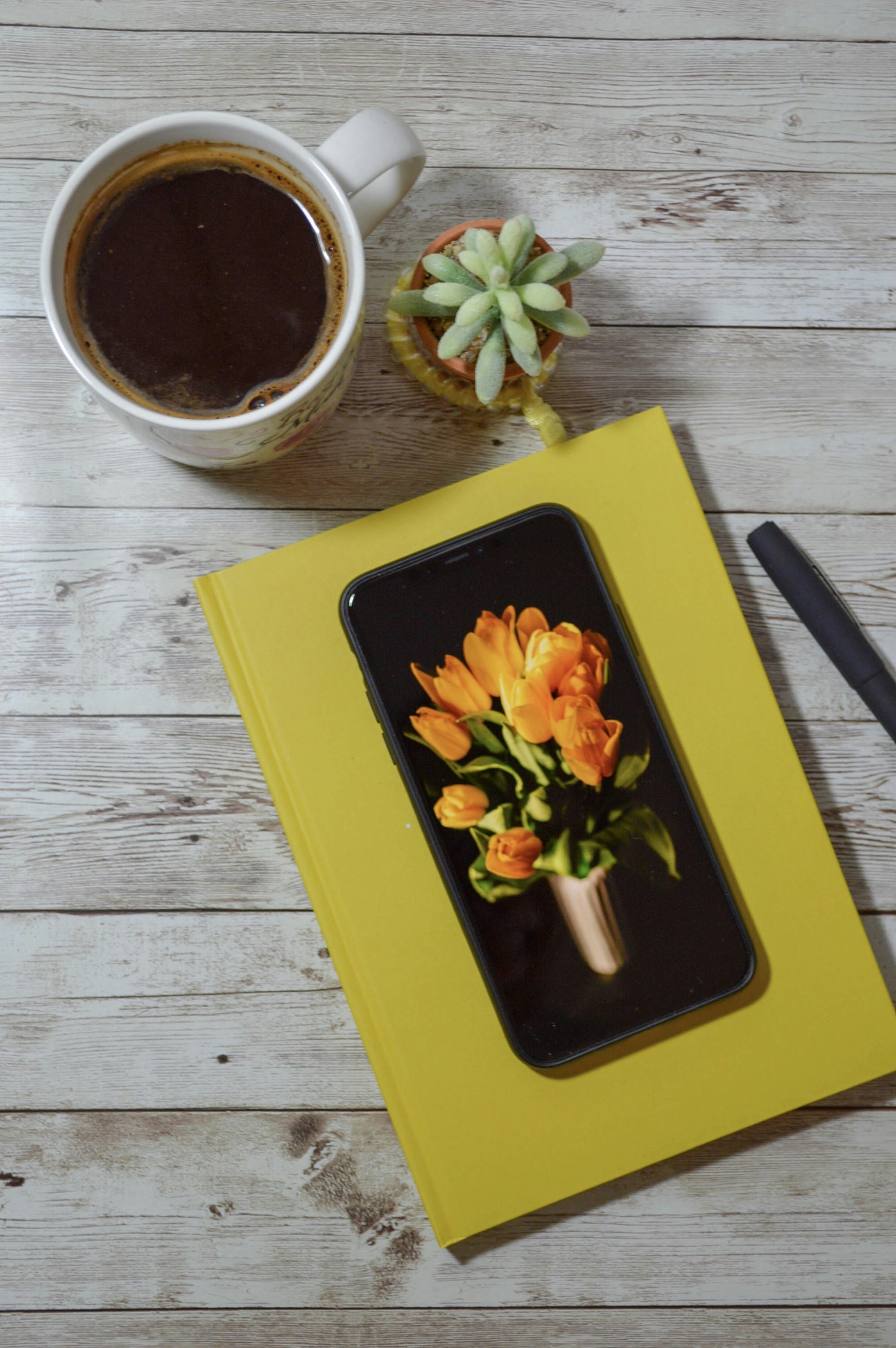 Morning Brew with a Tech Twist: Coffee, Plant, and a Vibrant Phone Display
