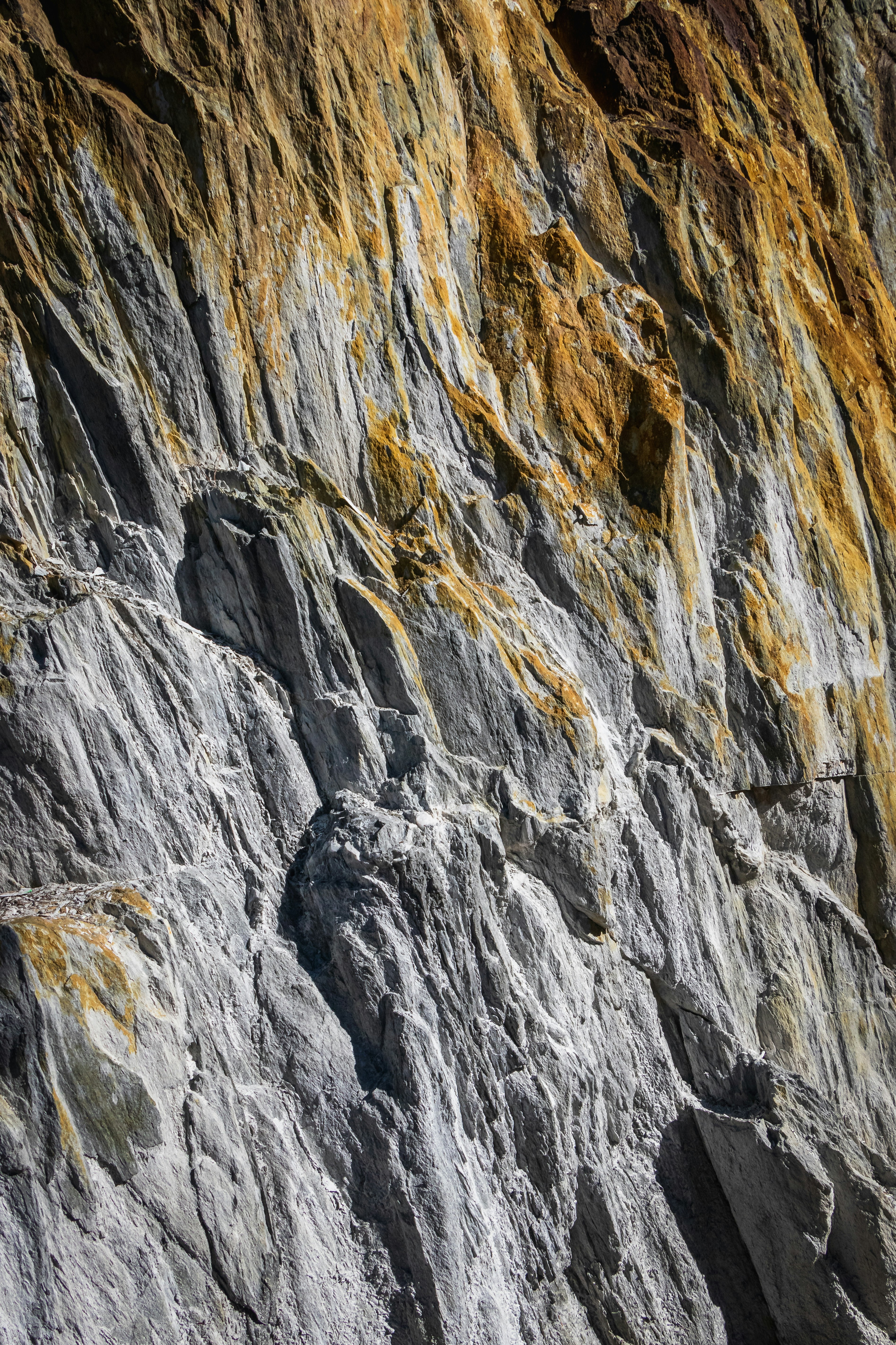 Rock Face Pictures | Download Free Images on Unsplash