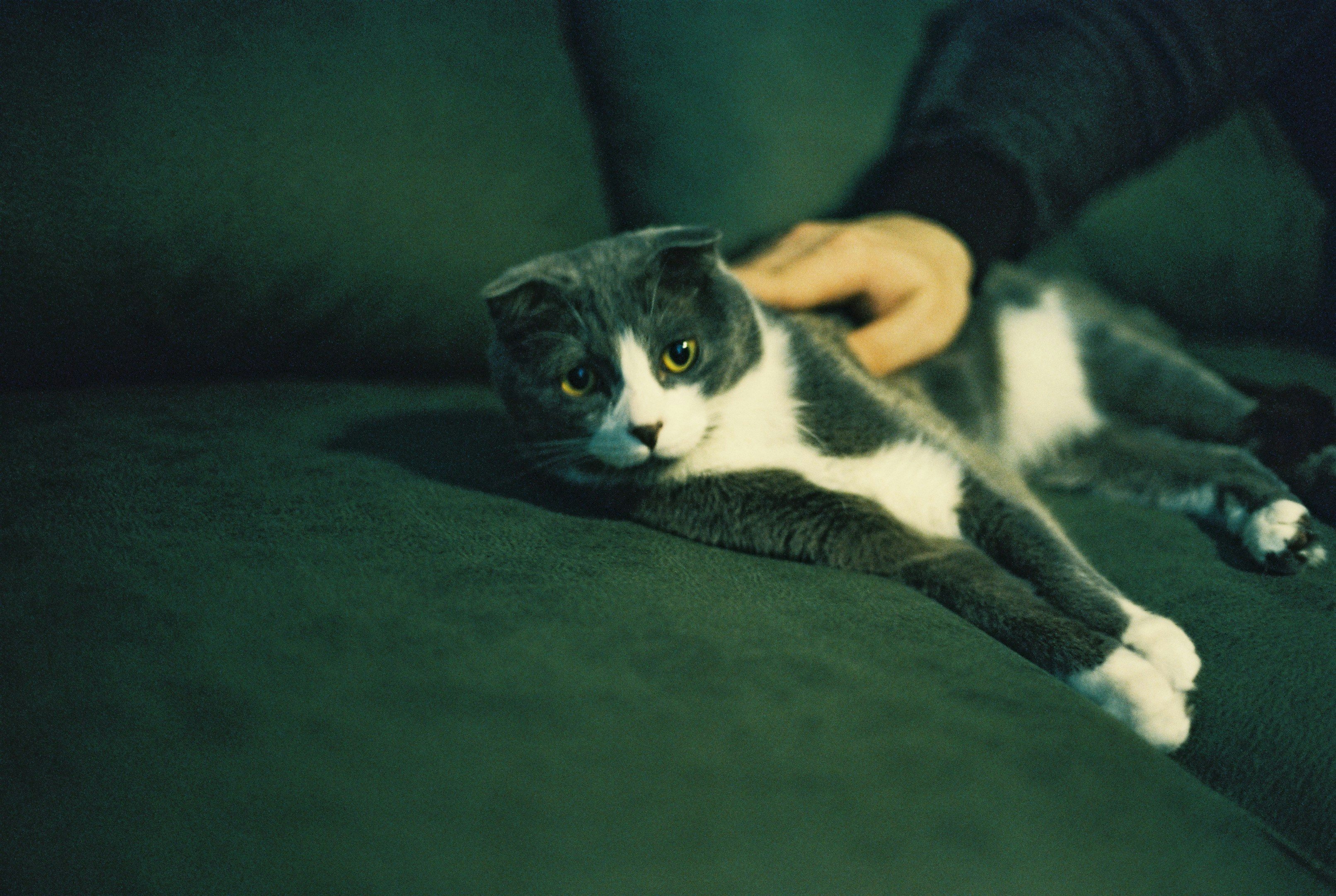 barut
kodak vision2 200t