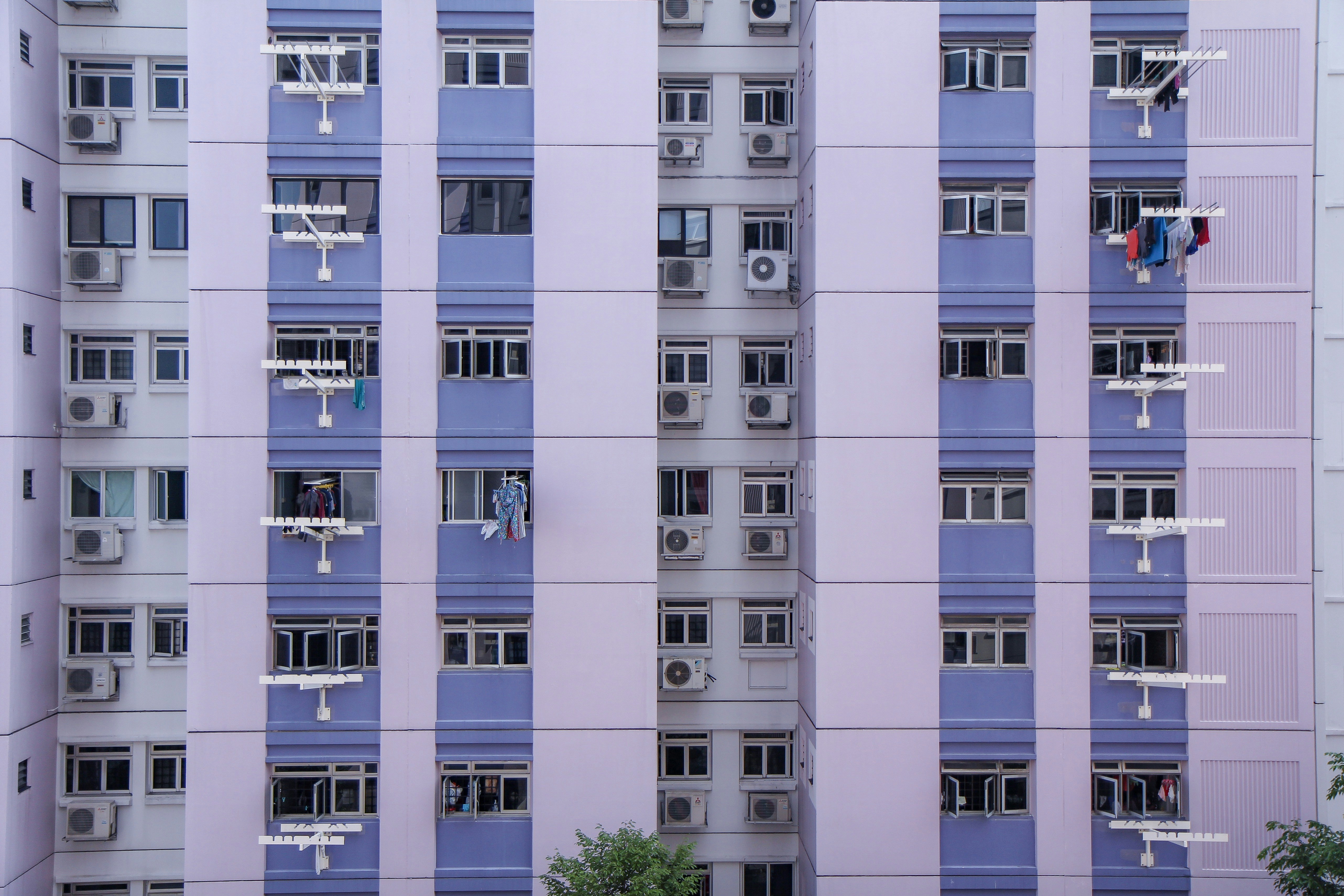 Pastel Vertical: Repeating Windows Form a Quiet City Rhythm
