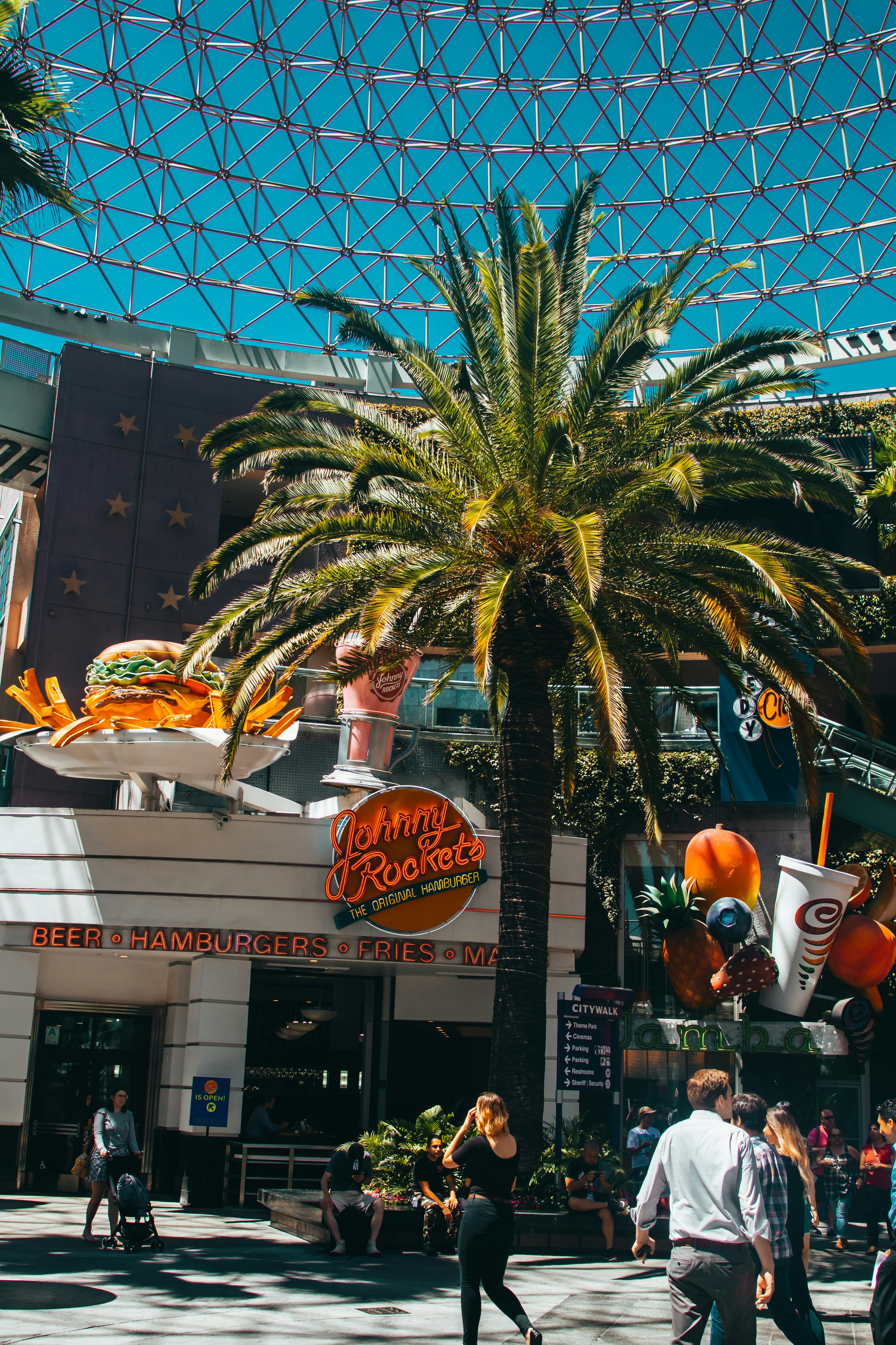 Green palm tree in front of store photo – Free Human Image on Unsplash