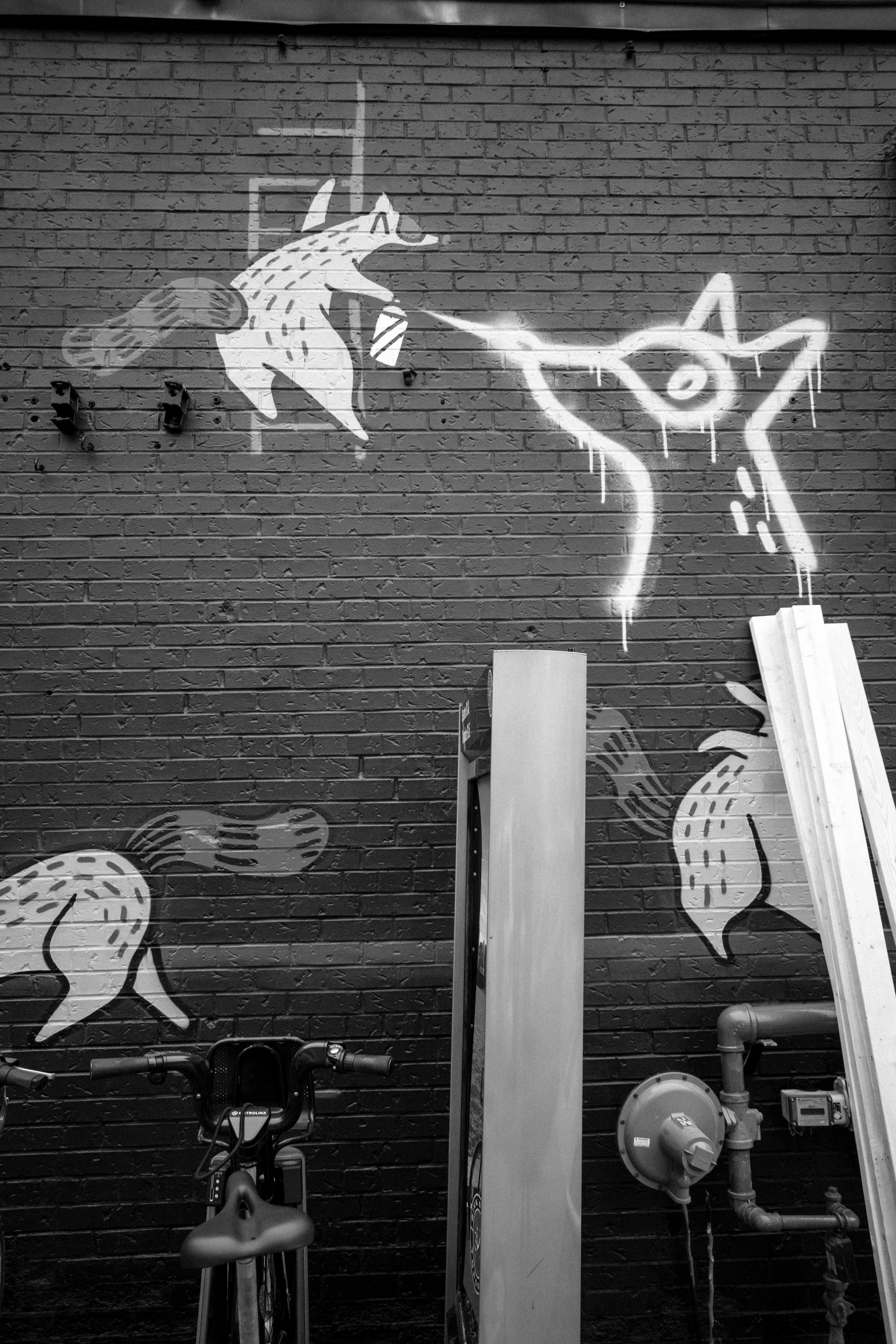 Cat and Fish Graffiti Duo on a Brick Wall Amid Industrial Props