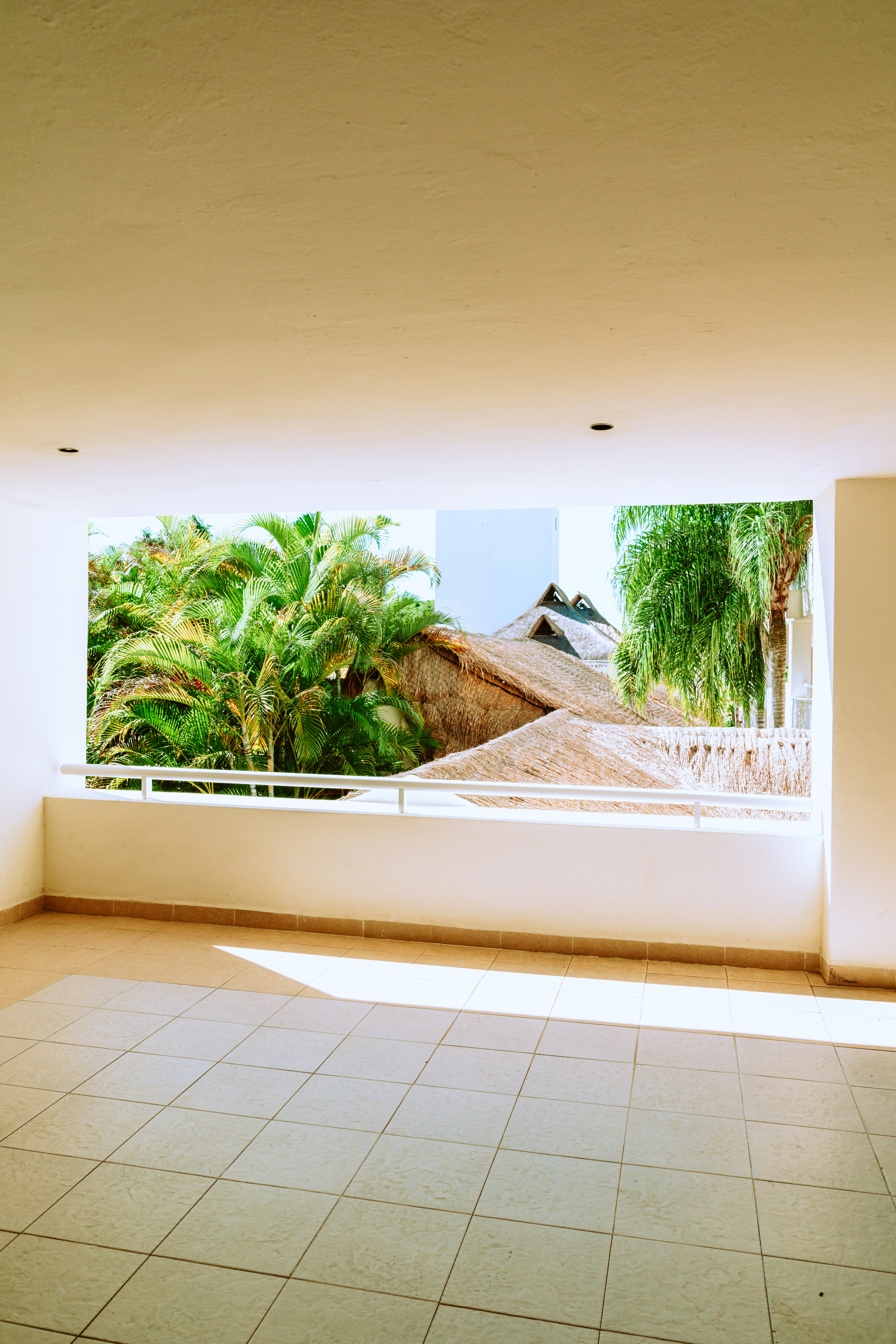 Veranda Vista: Palm Fronds Framed by White Walls