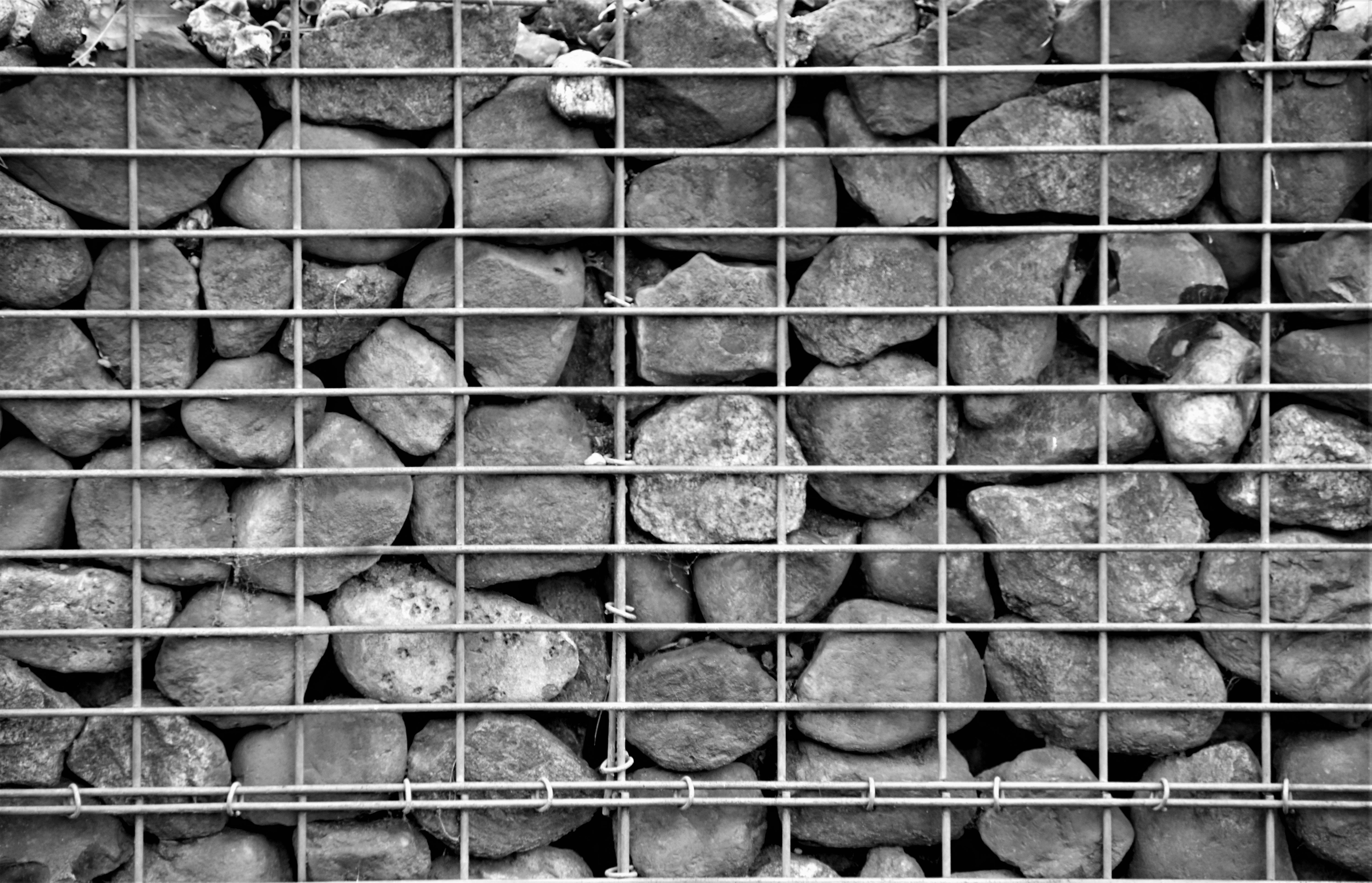 Stone Wall behind a garden fence