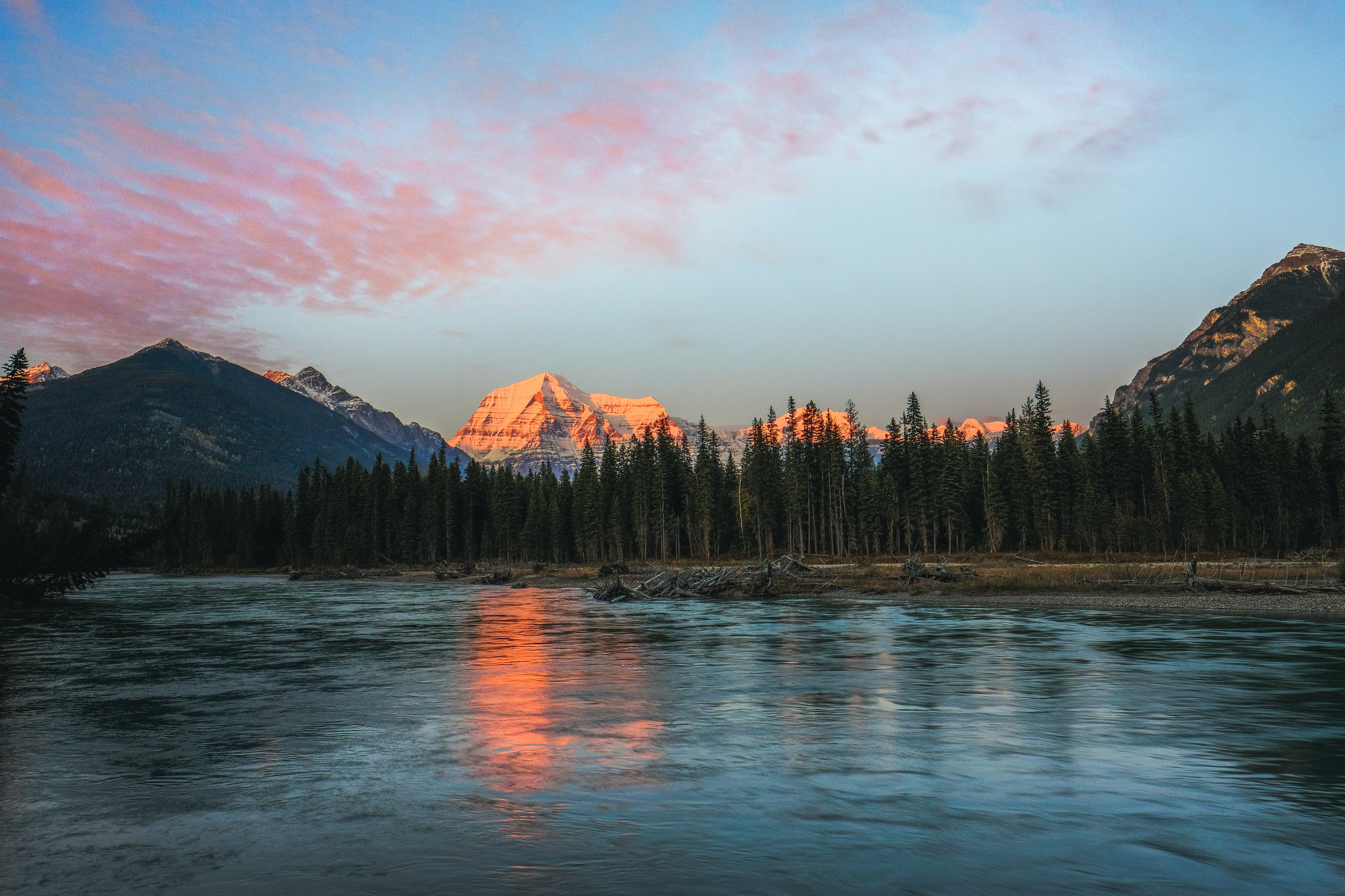Sunset Lake Pine Tree