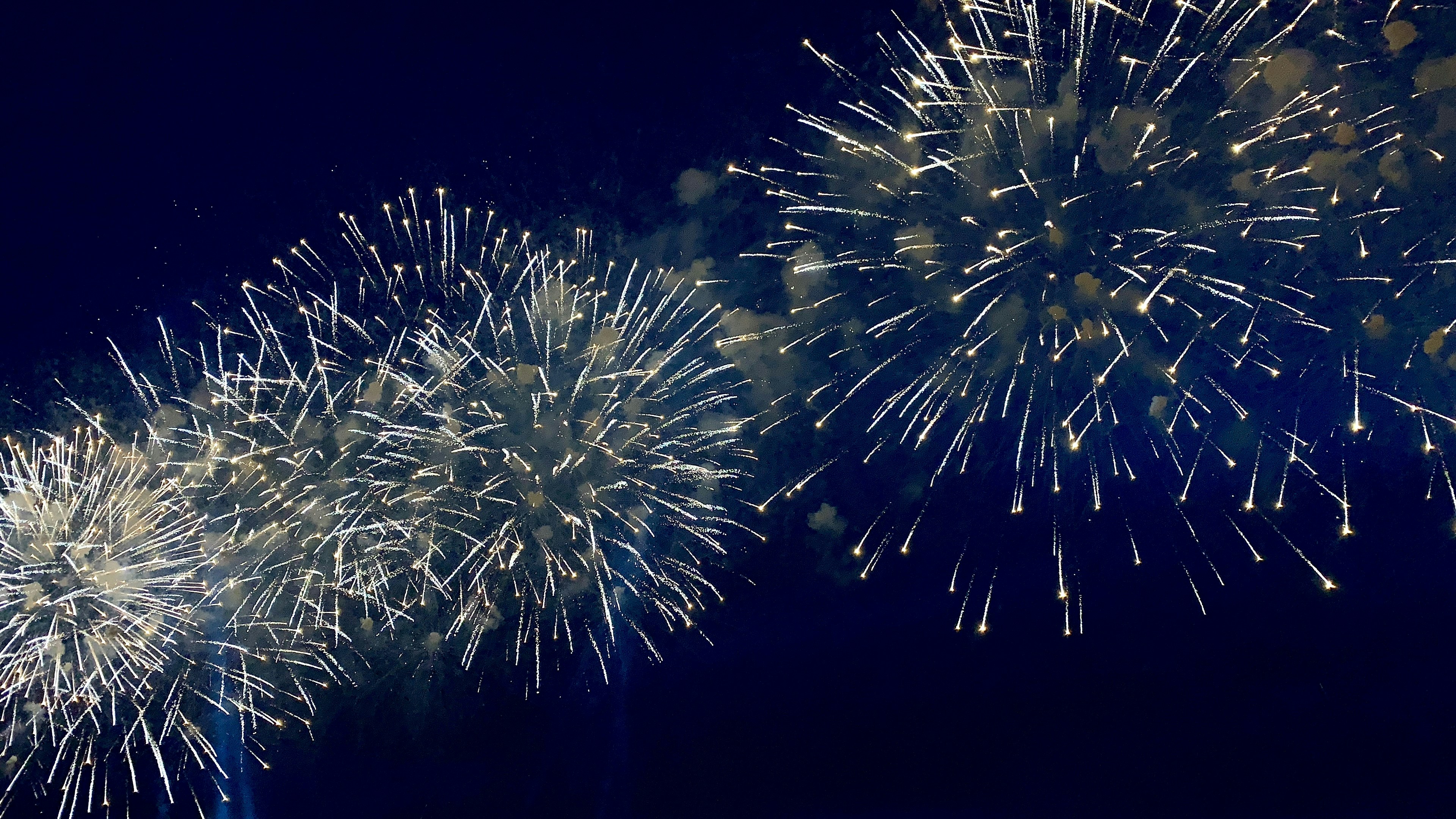 White and brown fireworks in the sky photo – Free Дворцовая набережная ...