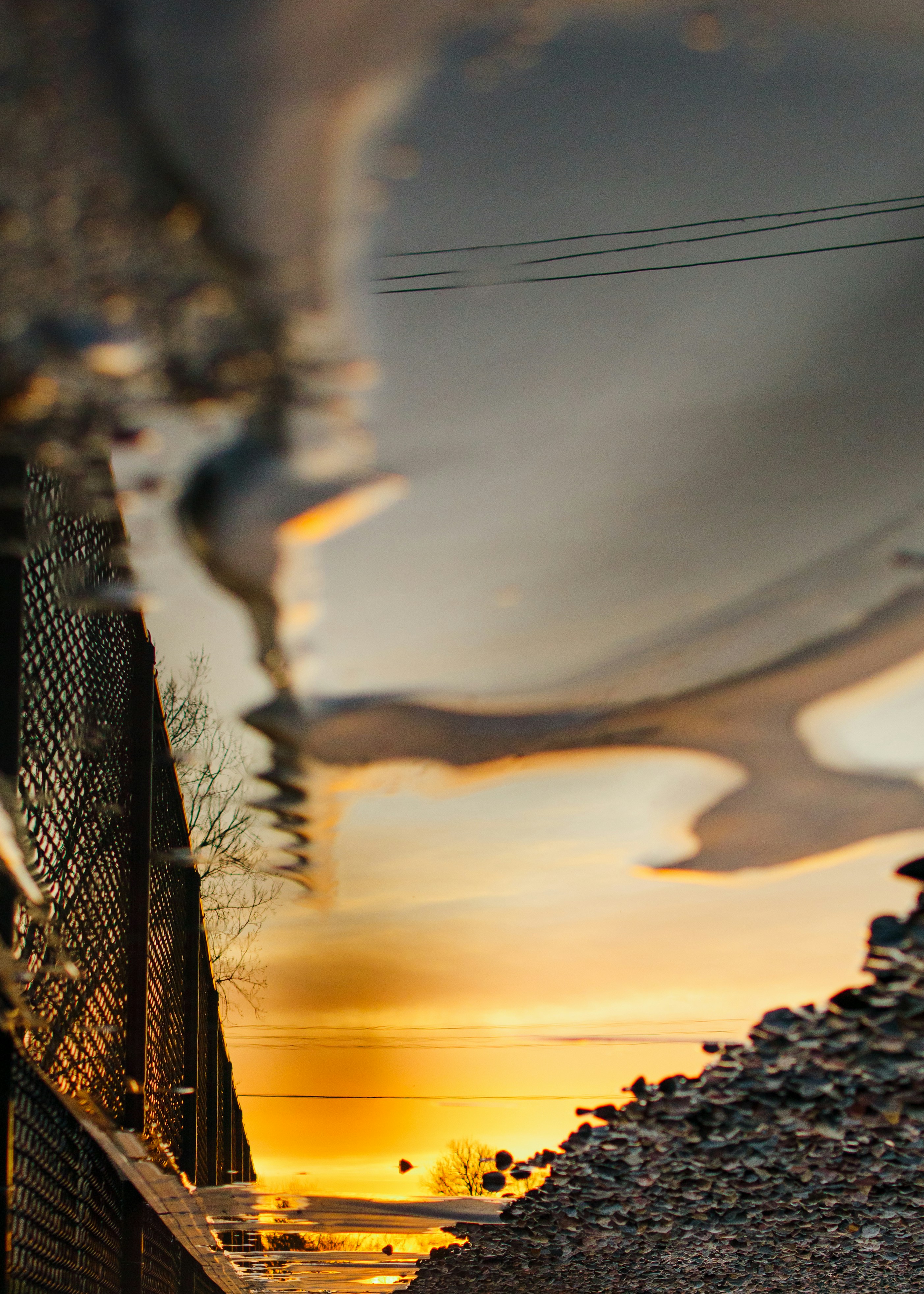 Puddle-Dusk Reflections Along an Industrial Fence