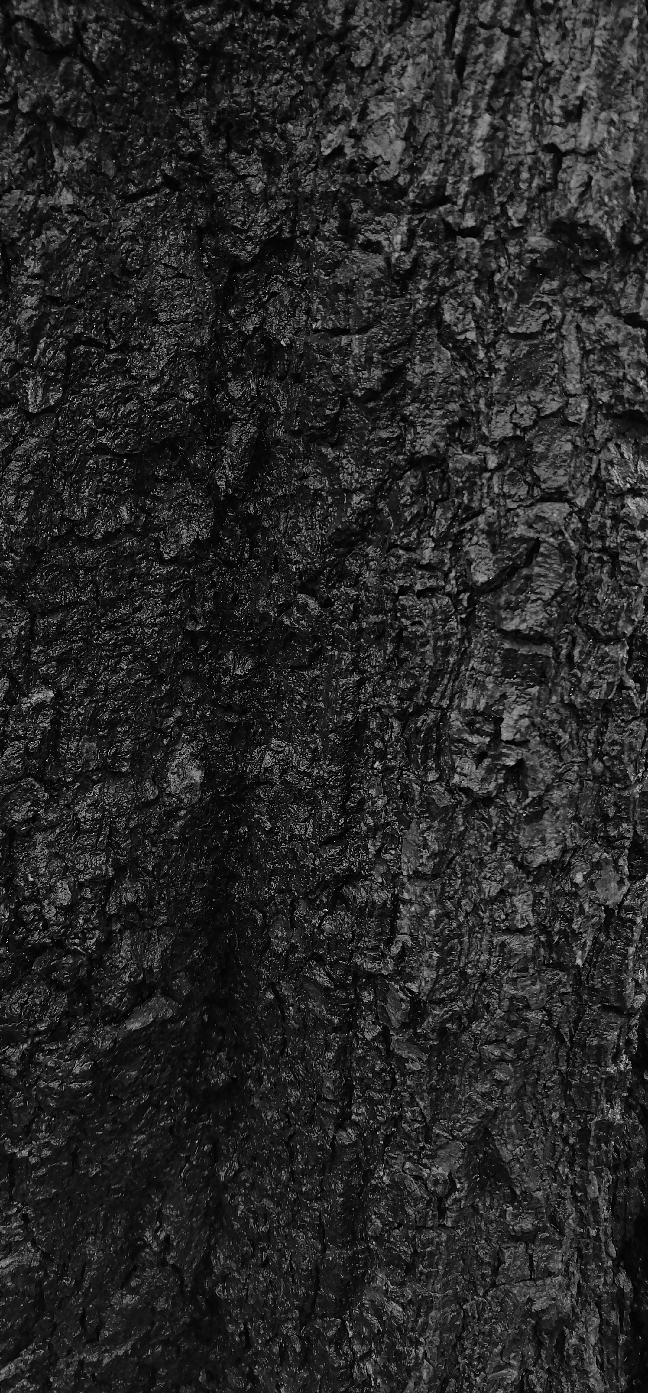 750+ Rock Texture Pictures | Download Free Images on Unsplash