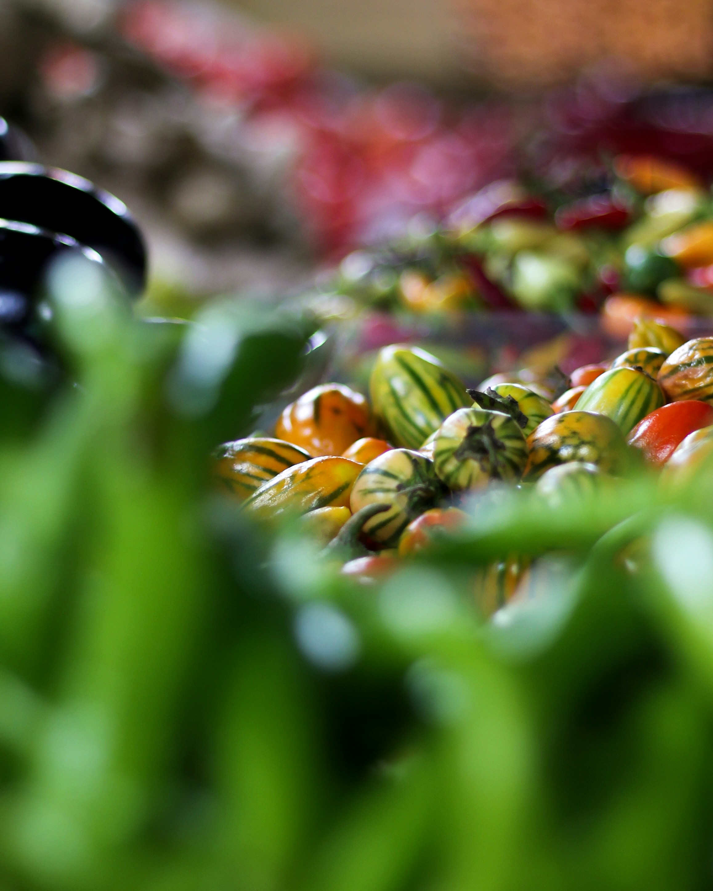Striped peppers glow at a bustling market stall, framed by emerald foreground