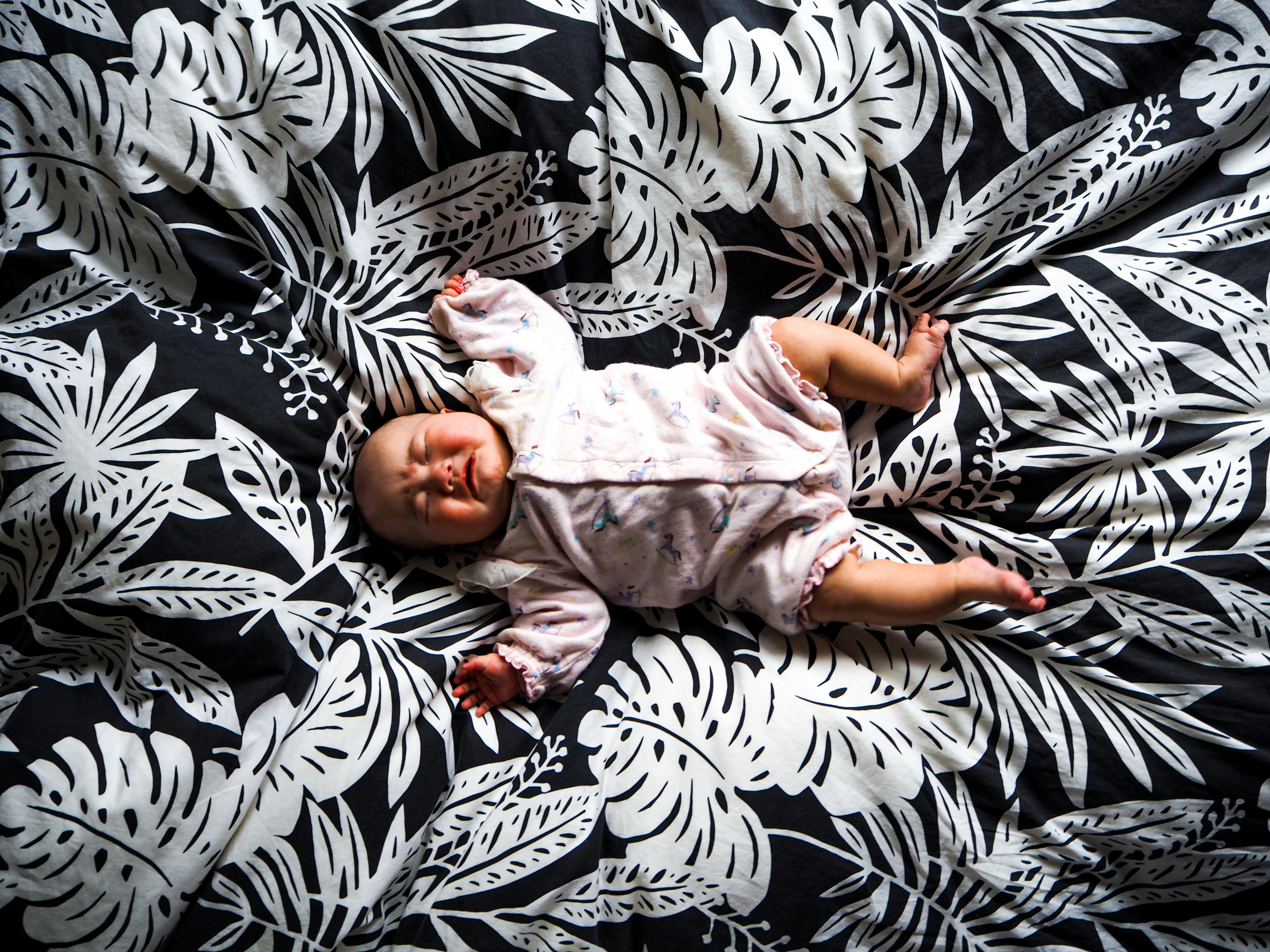Sleeping on a Monochrome Jungle