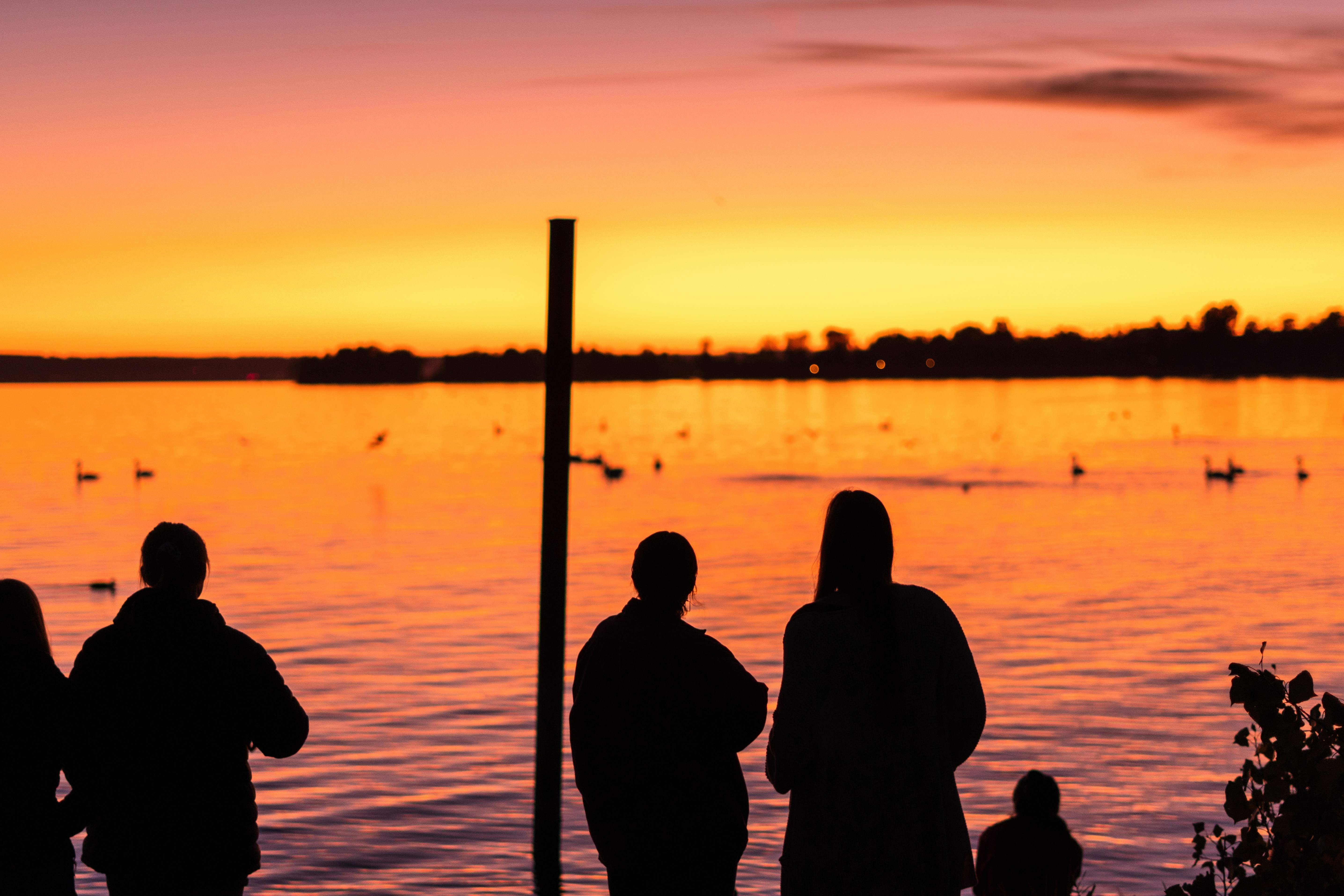 Pole of Dusk: Silhouettes Framing a Lake Sunset