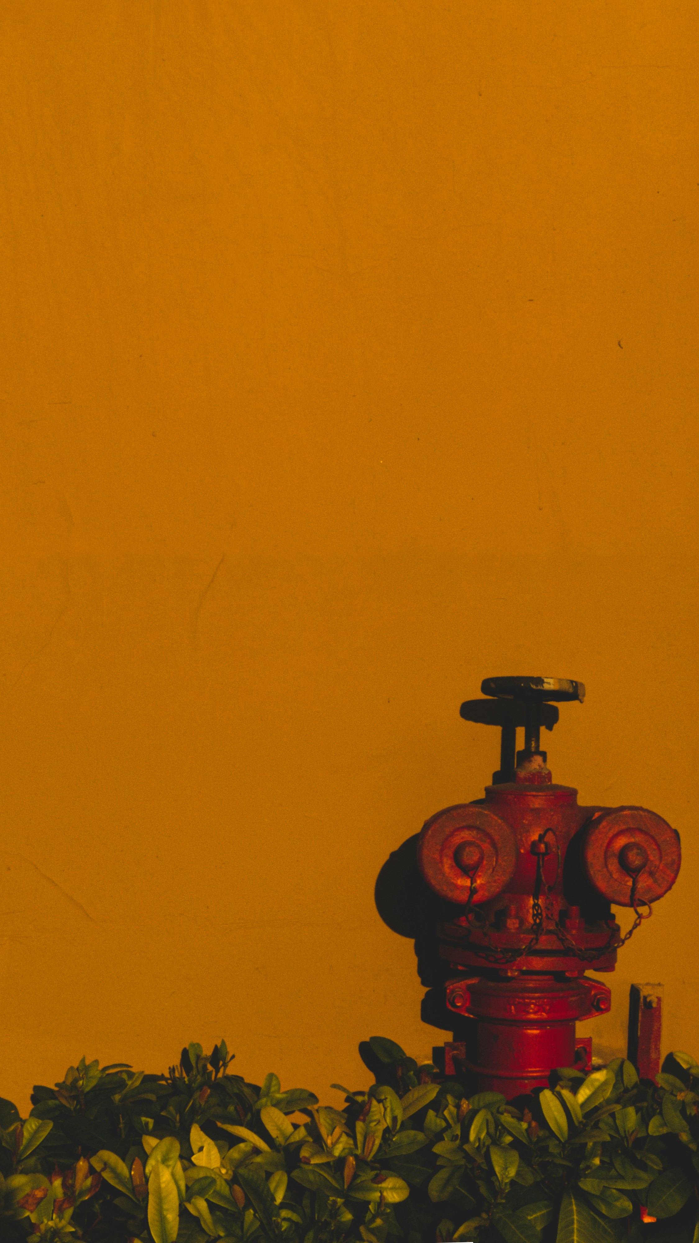 Scarlet Fire Hydrant Framing a Sun-Burnished Orange Wall