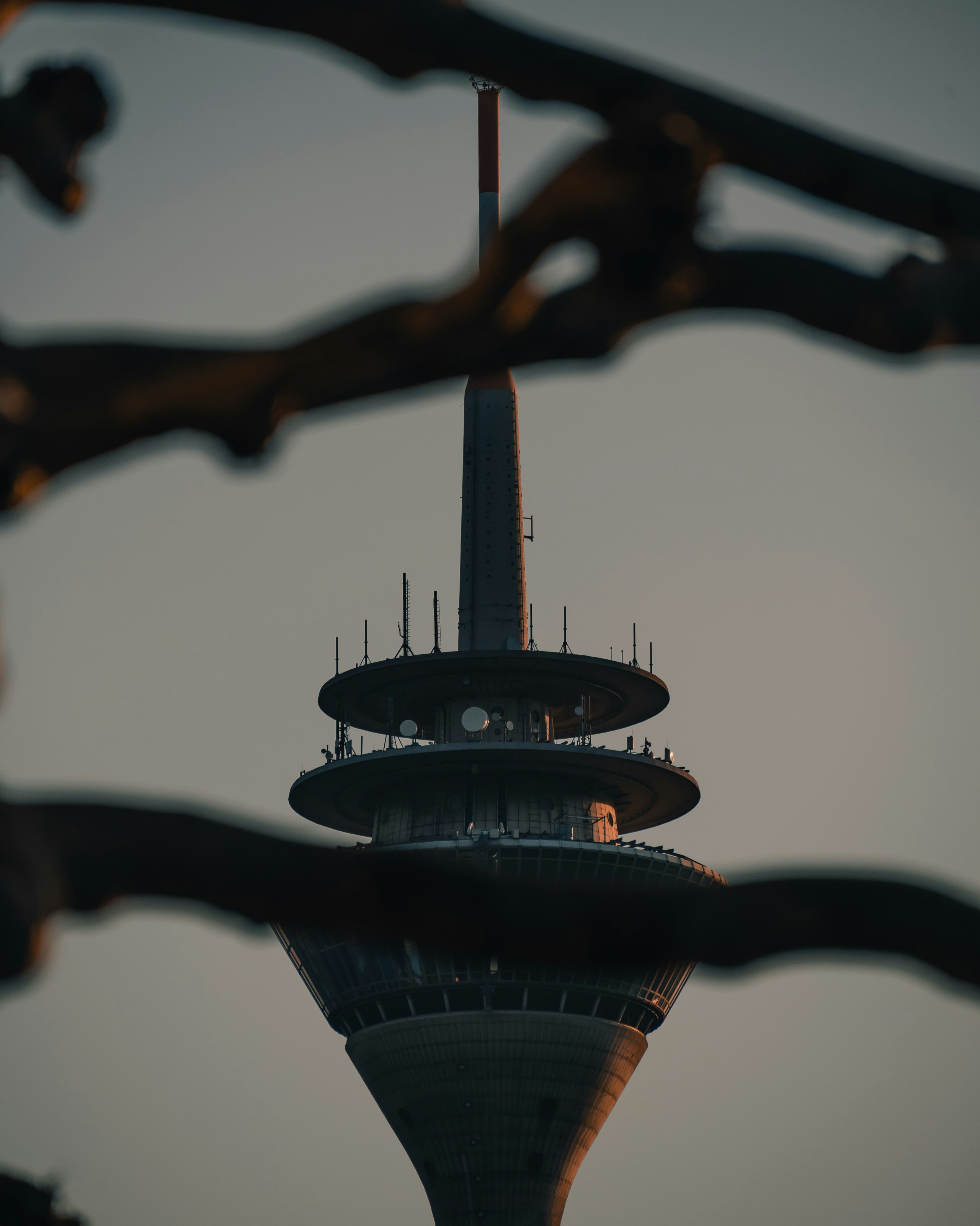 A telecommunications tower framed by branches against a soft twilight sky, highlighting architectural features and natural elements.