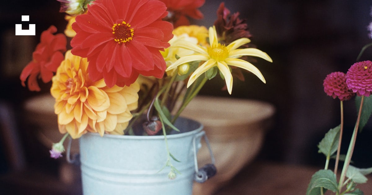 Fleurs rouges et jaunes dans un vase en céramique bleue photo – Photo ... Fleurs rouges et jaunes dans un vase en céramique bleue photo – Photo ...