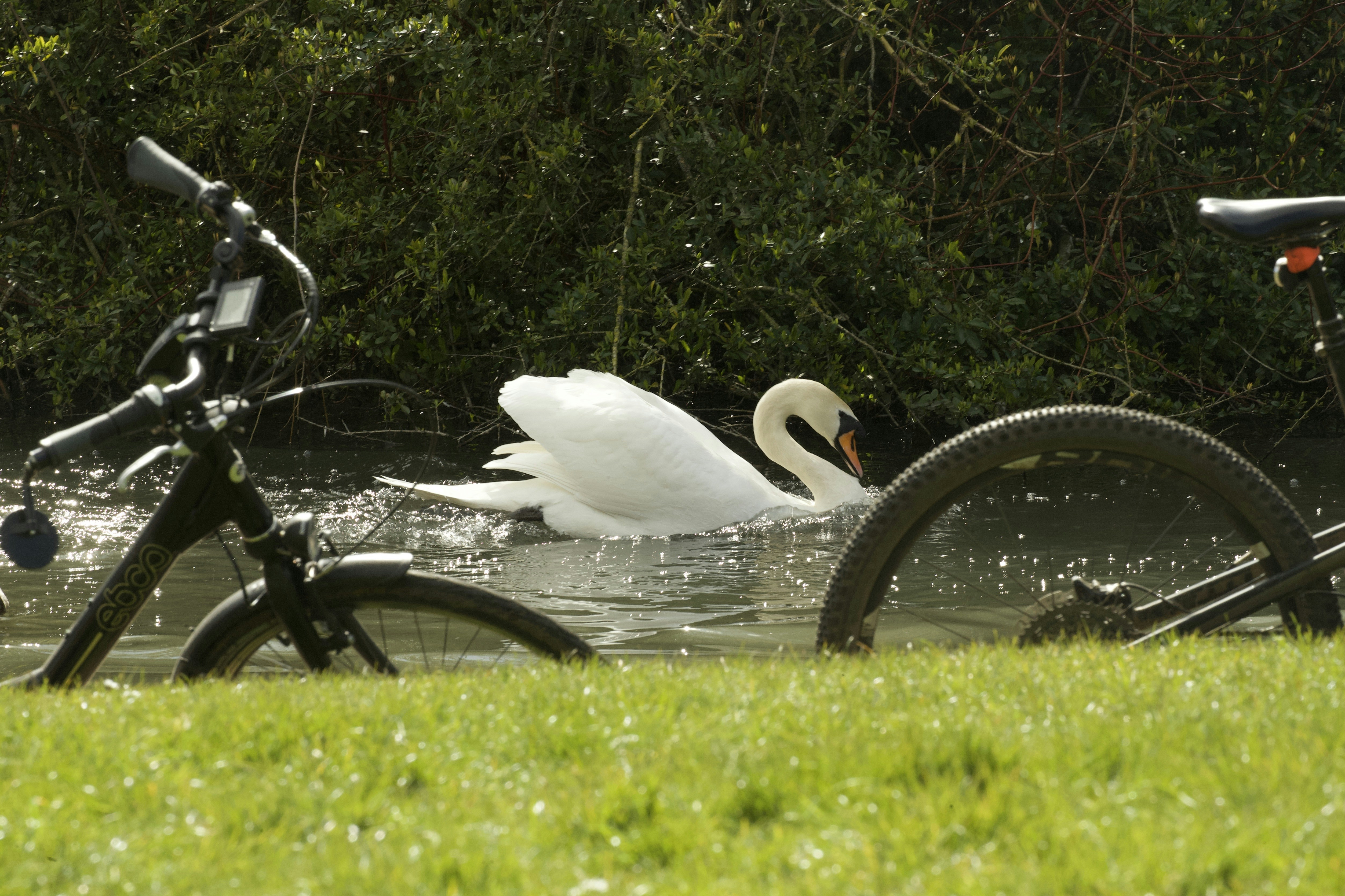 Two modes of transport