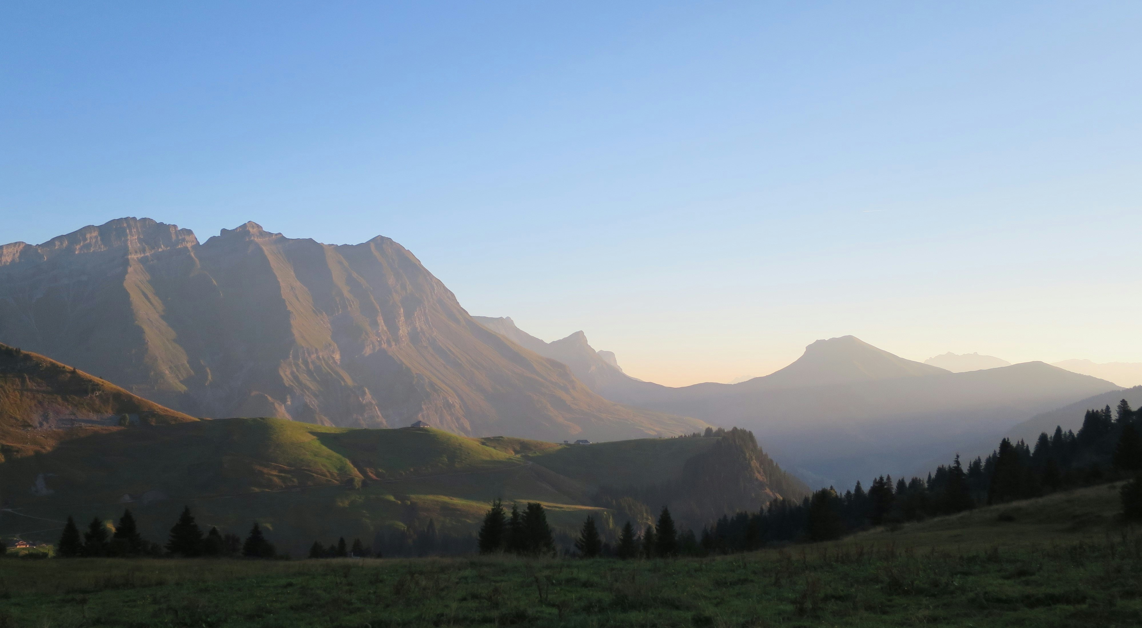 Définition de col-vert | Dictionnaire français