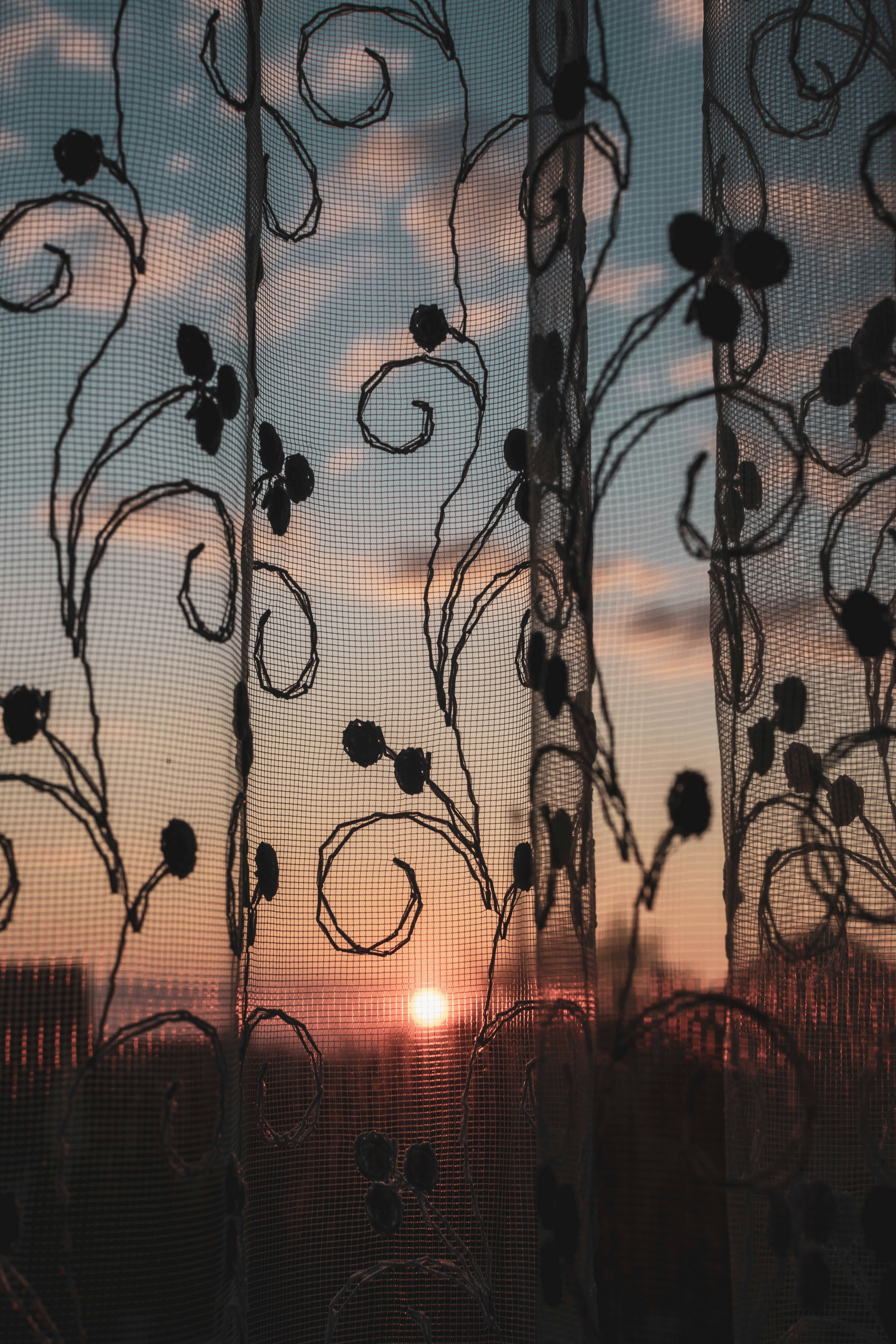Sunset Framed by Ornate Sheer: Swirls of Light Through a Floral Veil