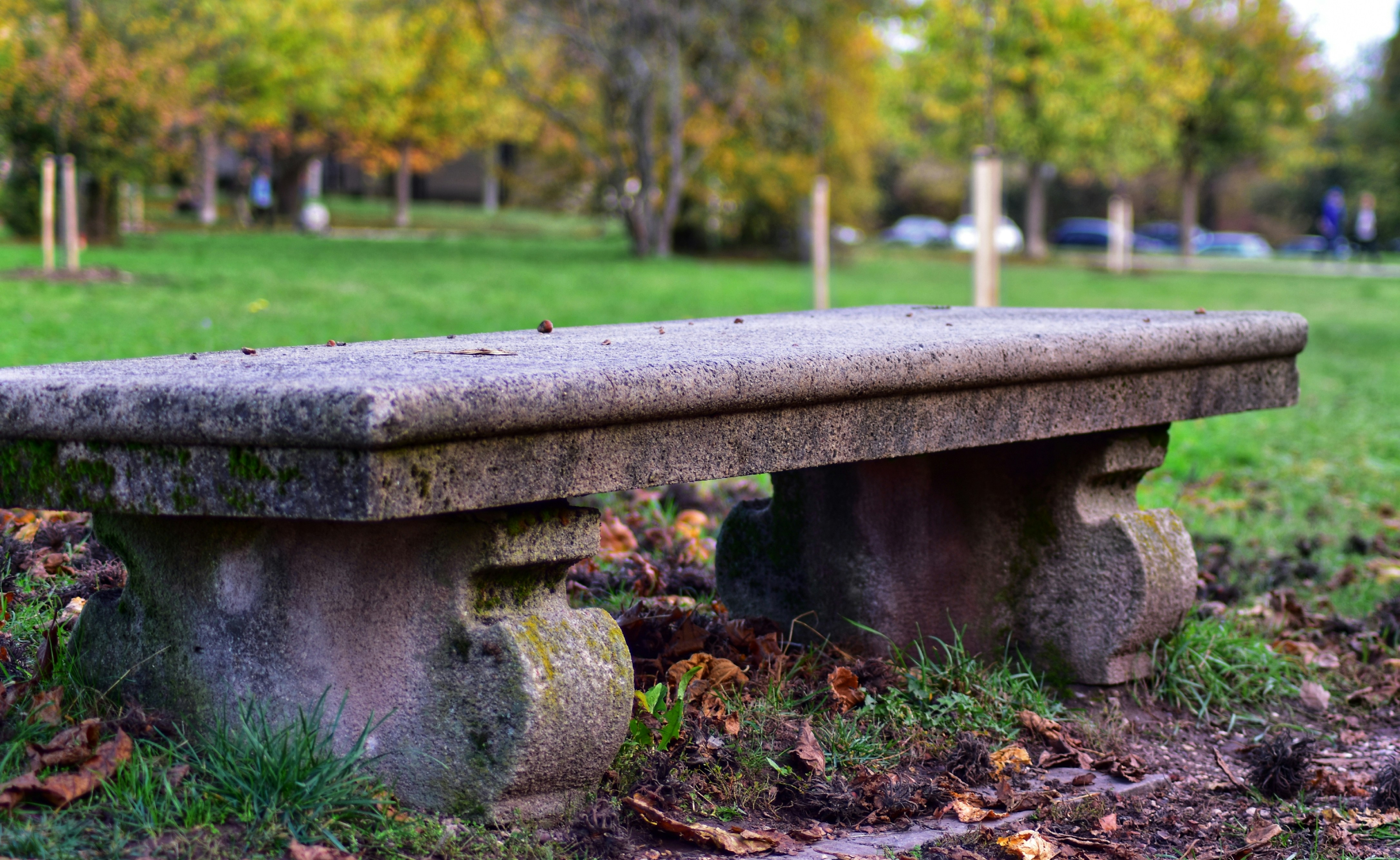 Brown concrete bench on green grass field during daytime photo – Free ...
