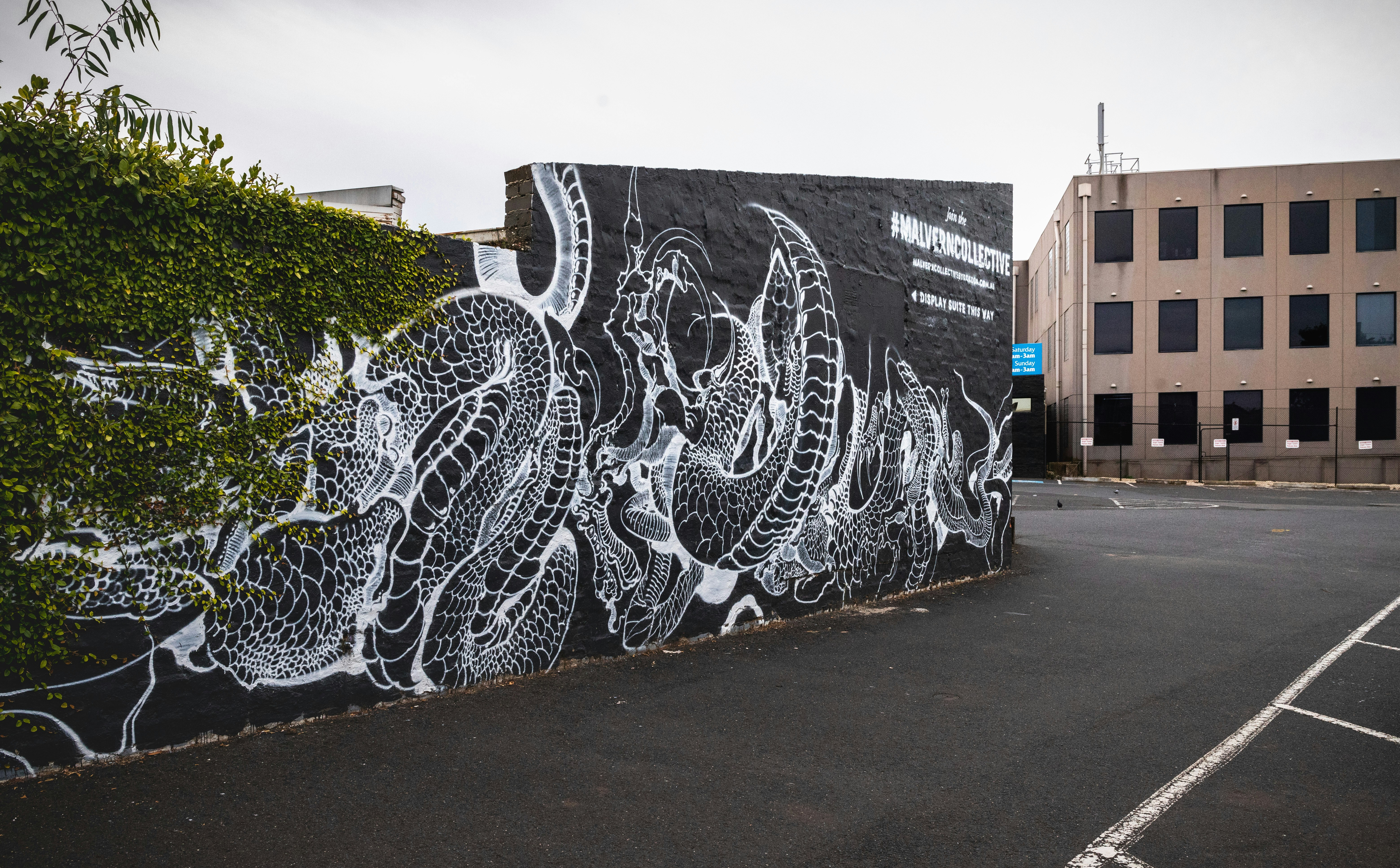 Endless Scales on the City Wall