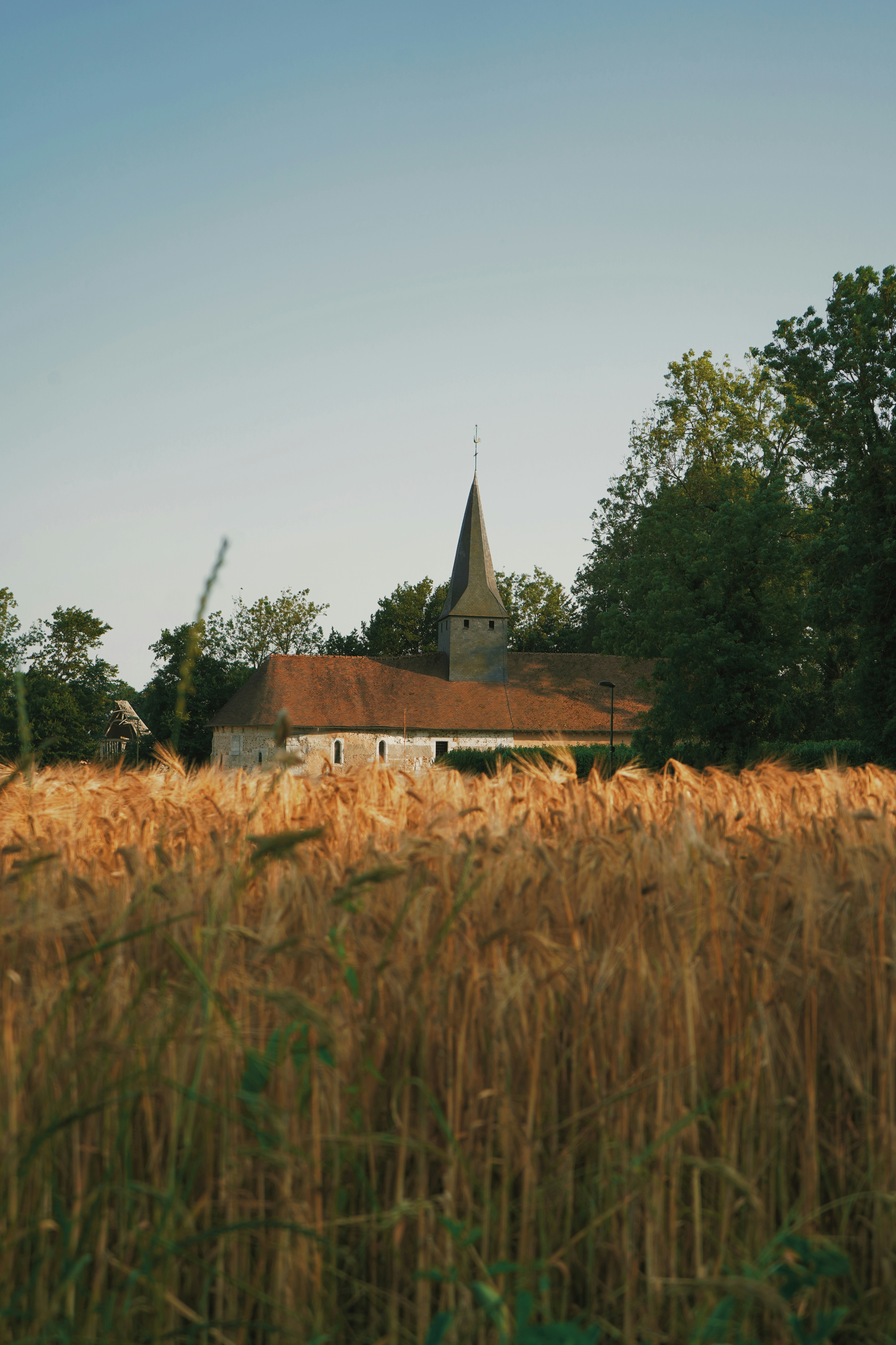 Amber Wheat Field Framing a Distant Church Spire