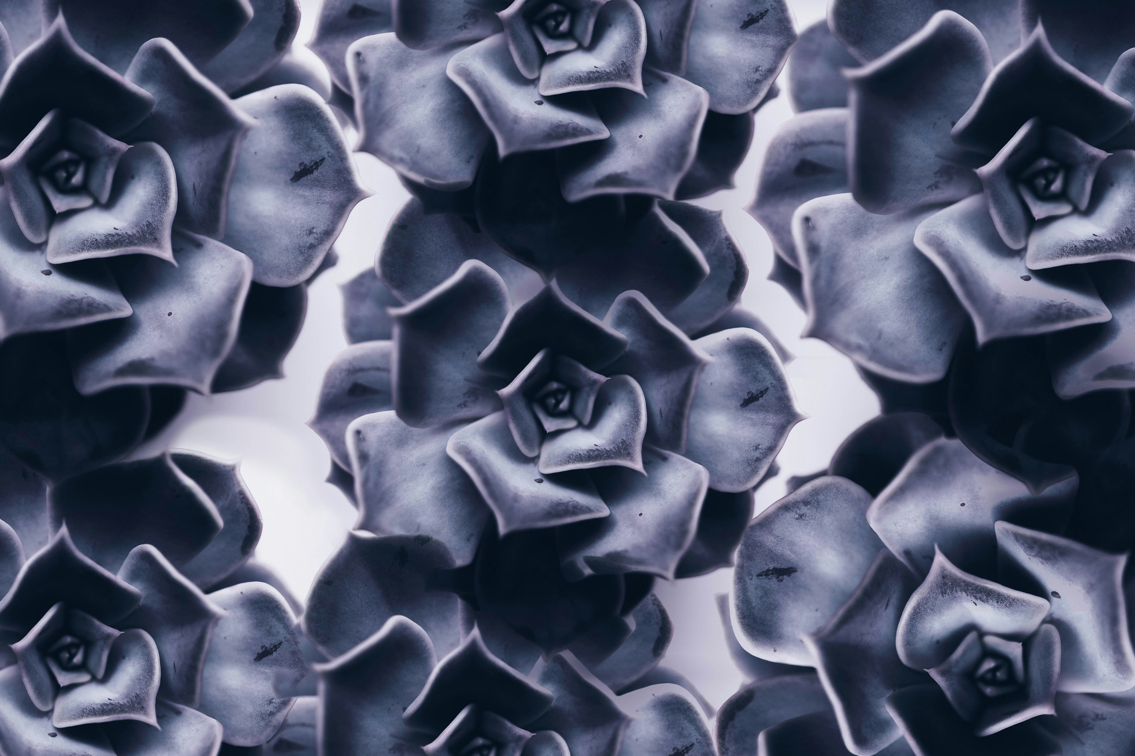 All The Amazing Techniques To Help You Change The Skew Of Digital Photos