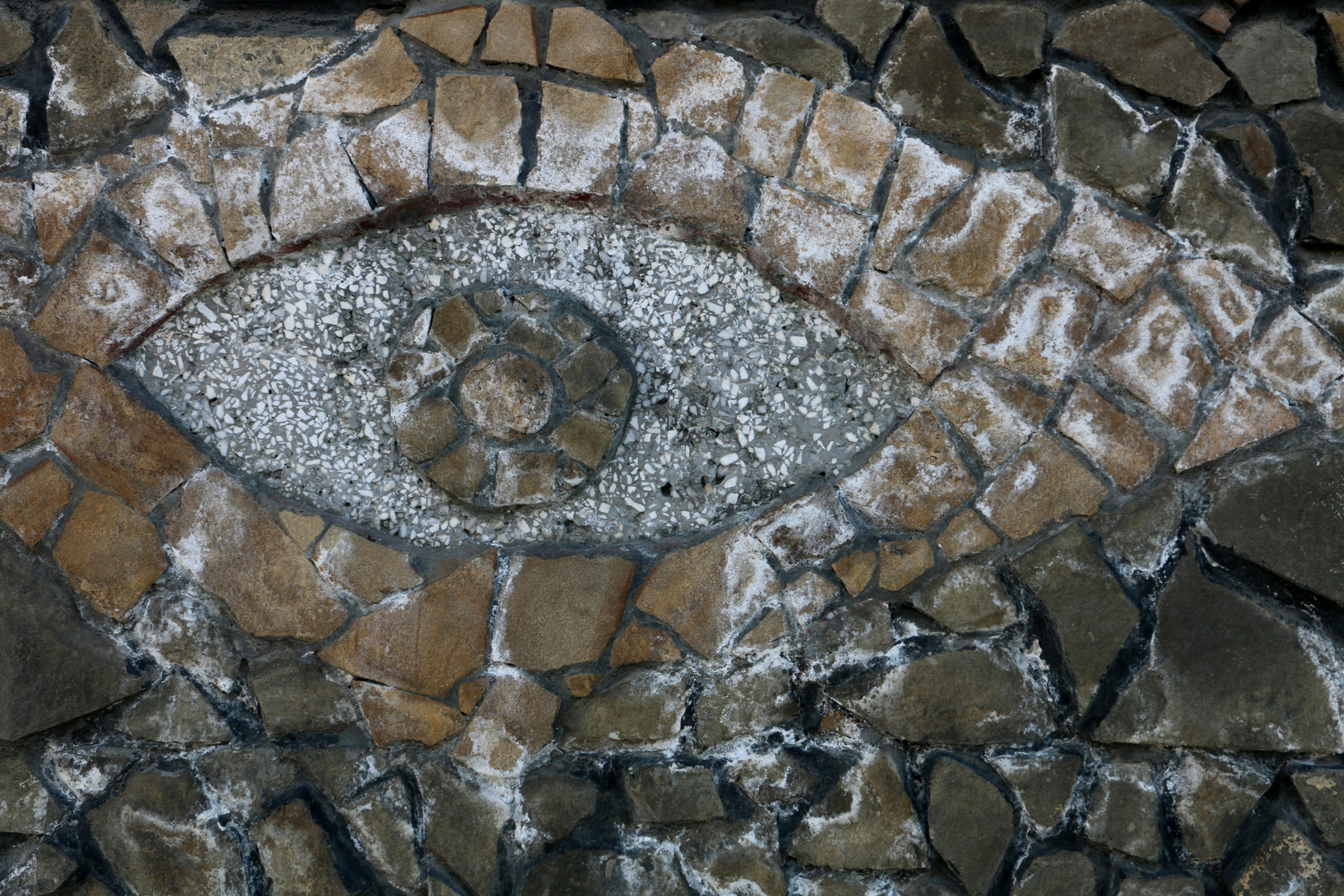 Stone-Eyed Sentinel: Pebble Mosaic Gaze