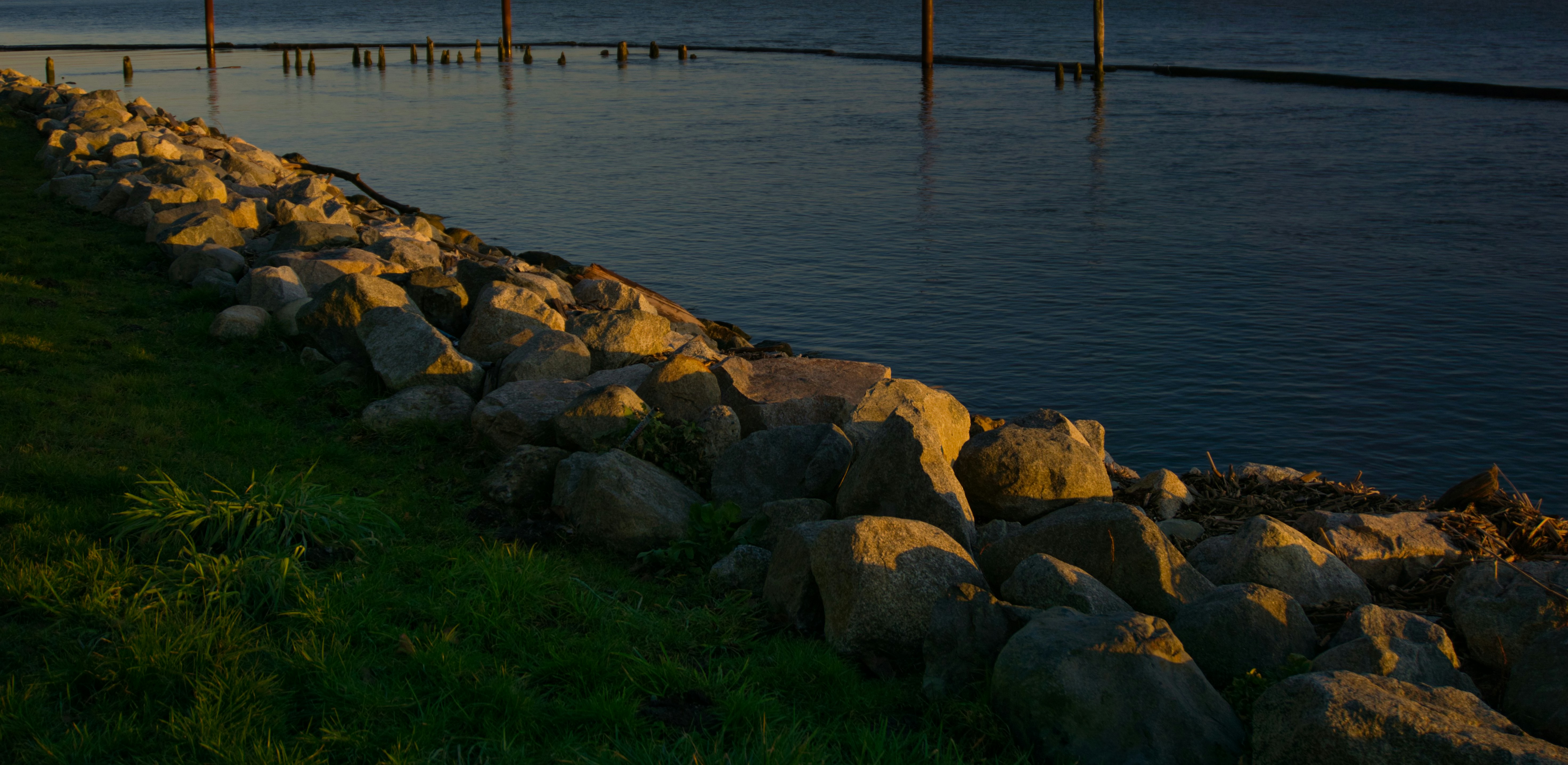 Rocky shoreline meeting calm waters under warm sunlight.