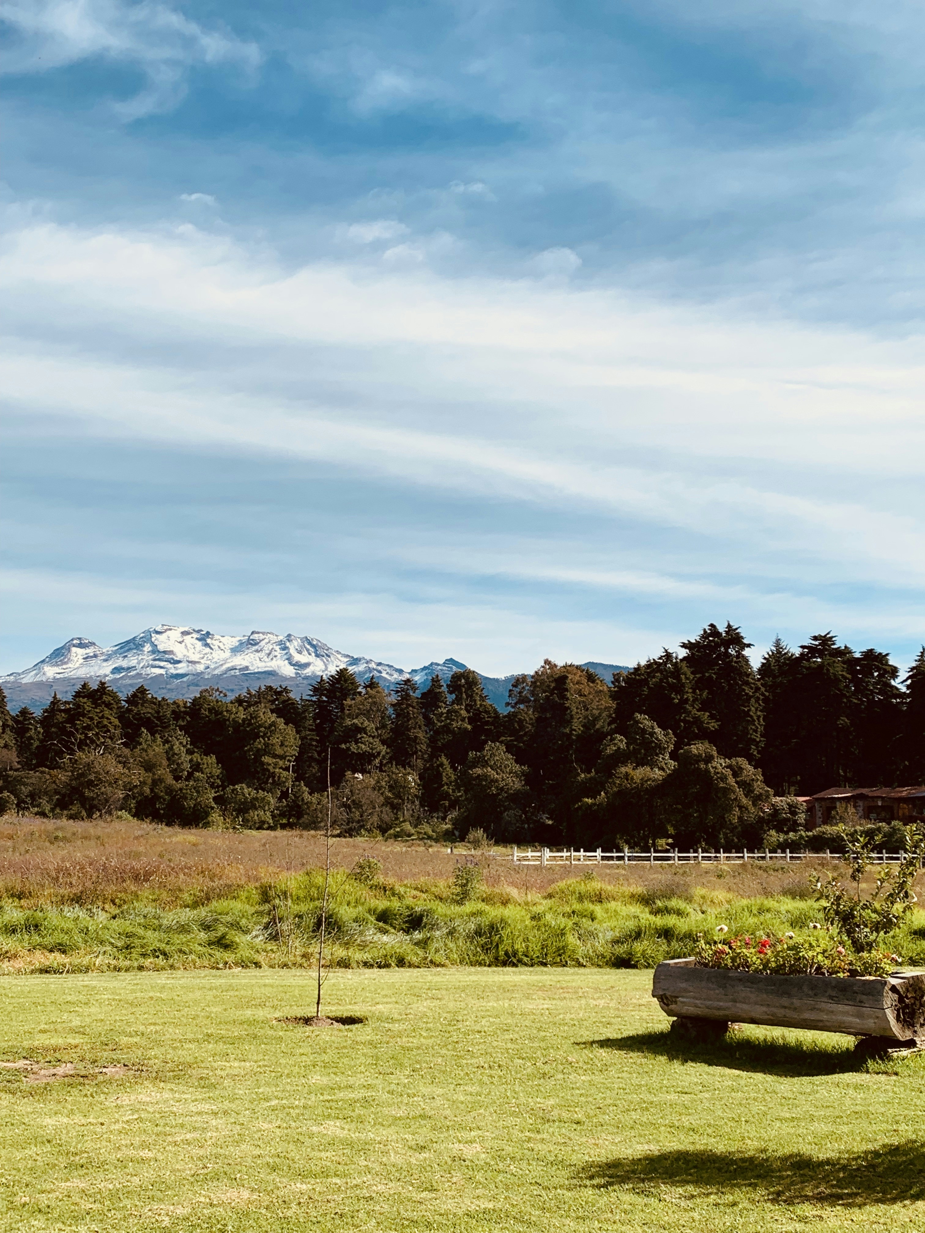 Snow-capped peaks rise majestically above a verdant landscape, framed by a serene meadow and lush trees.