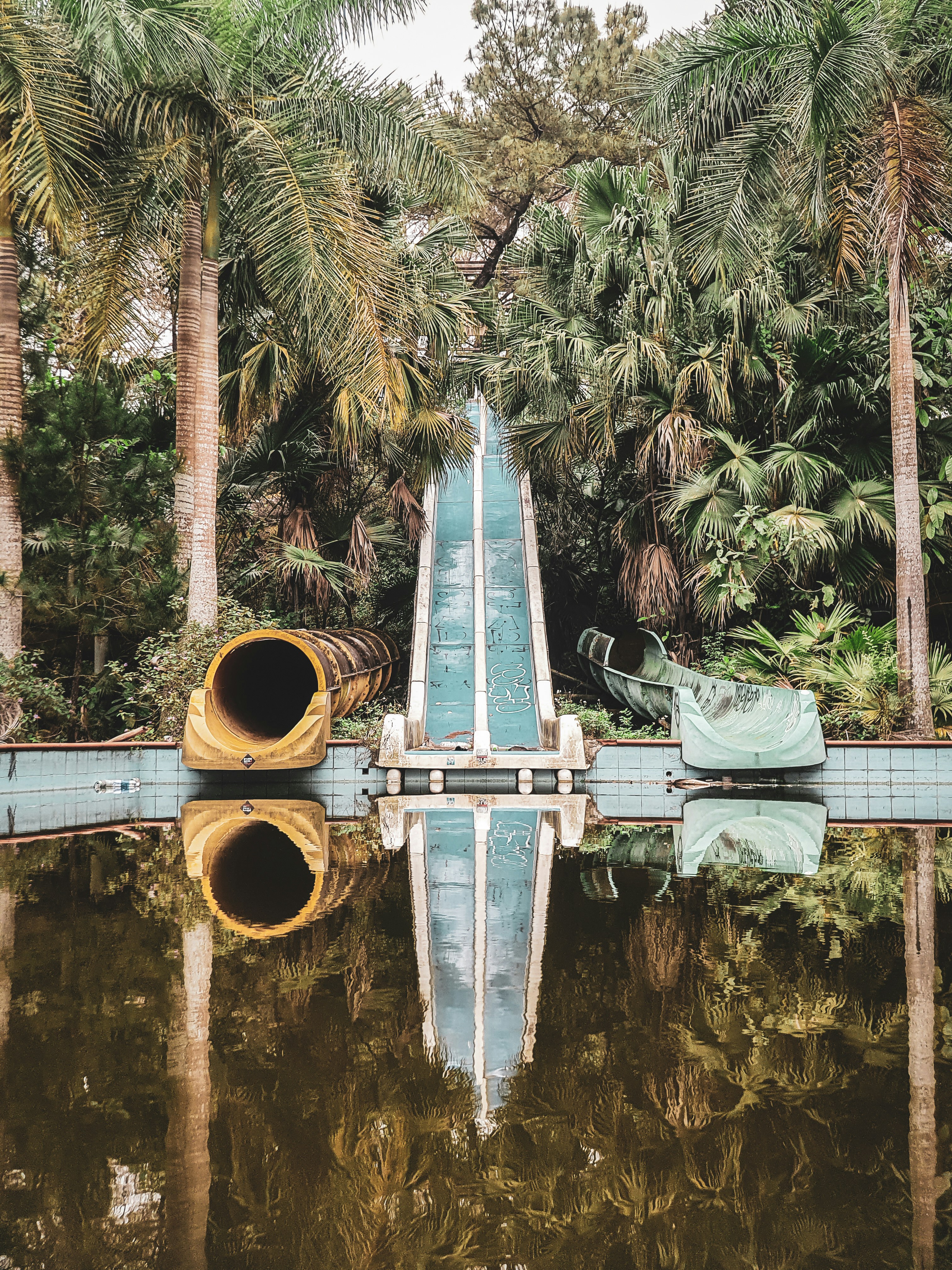 Blue slide between yellow and green tubes stands before a dense palm backdrop, its reflection mirrored in the tranquil pool.